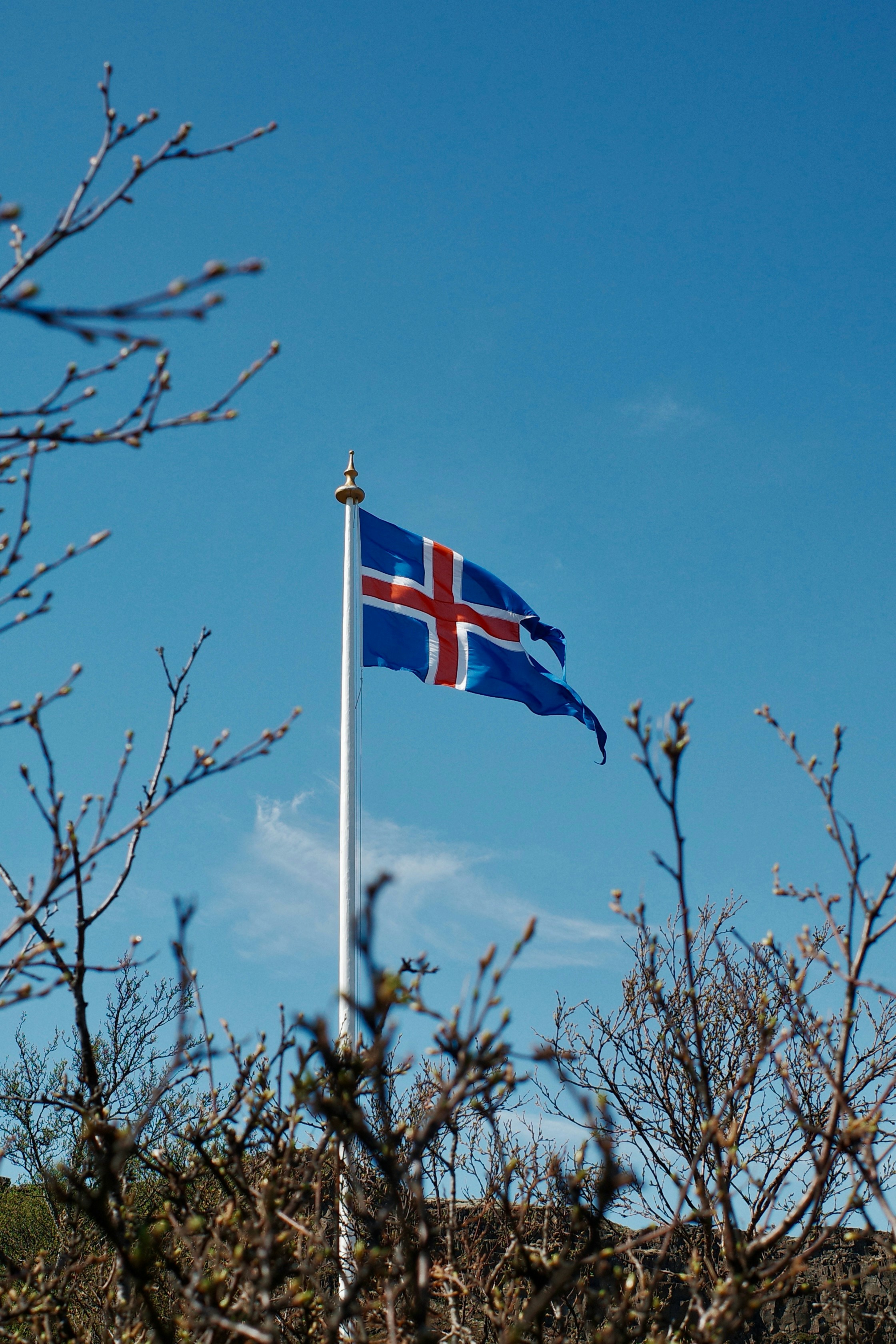 Flag on a Silent Blue Crest