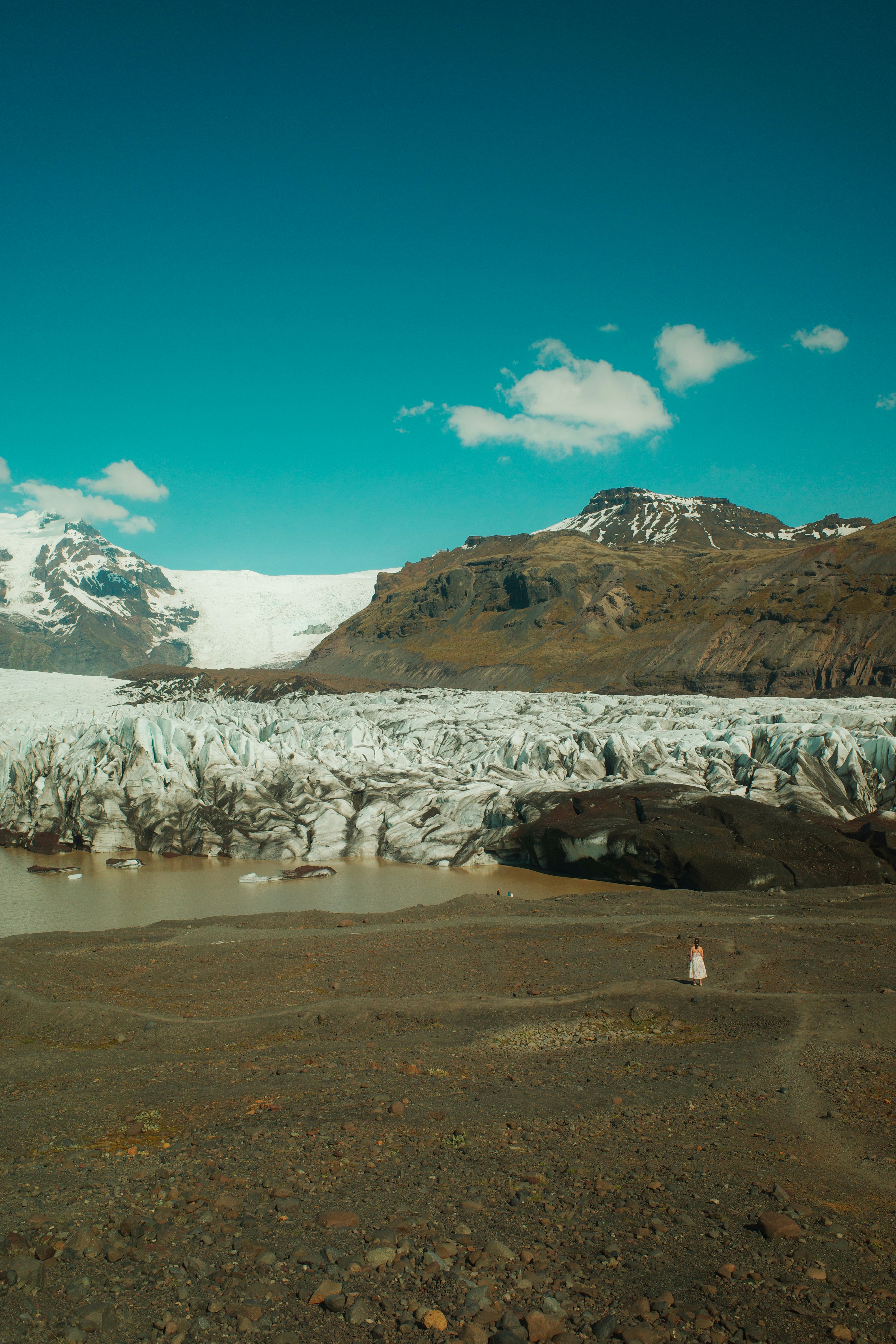 Lone Visitor at the Glacier Edge Under a Cerulean Sky