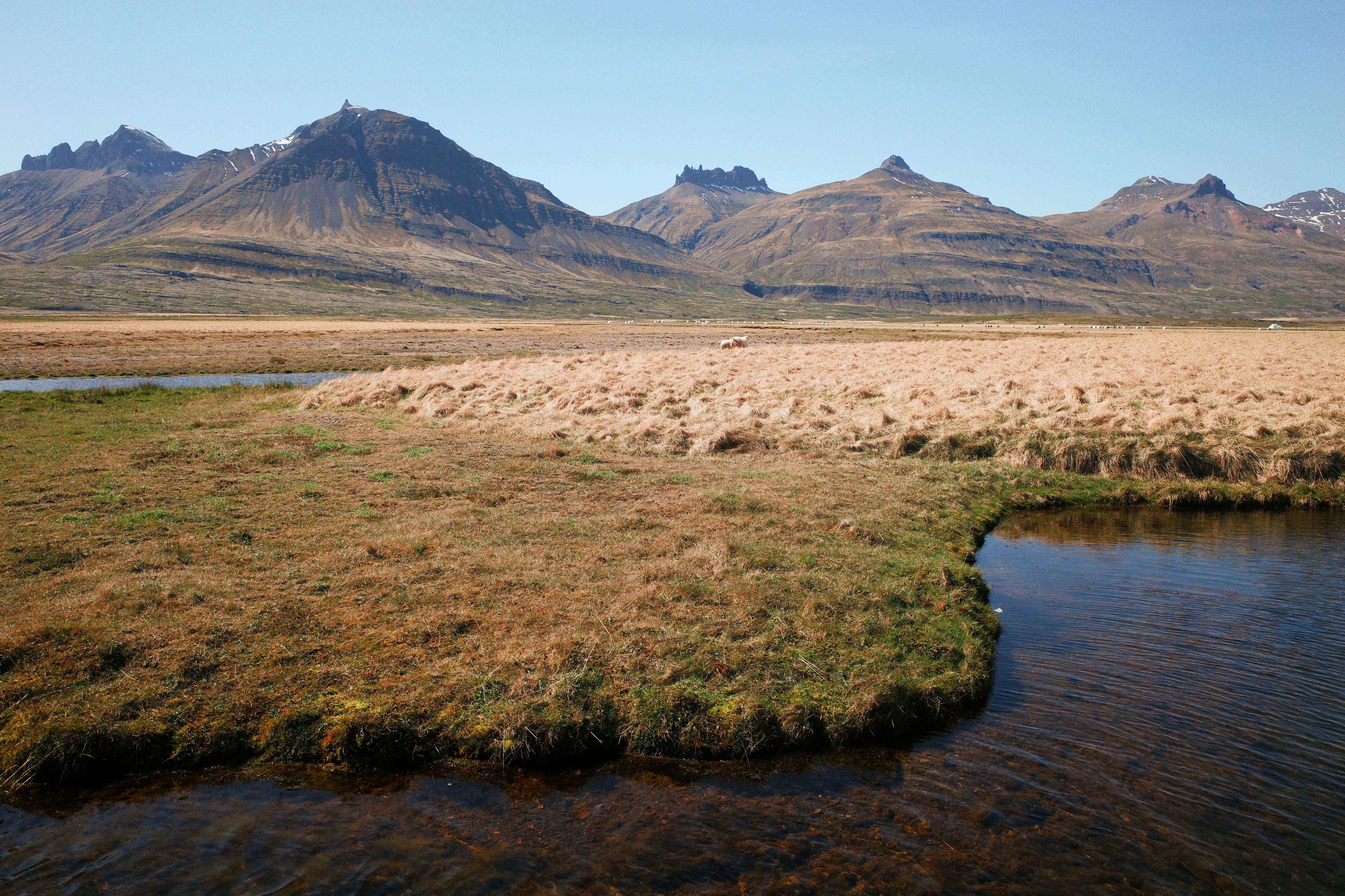 Ridge and Marsh: A Landscape Where Water Edges Meet Mountain Majesty