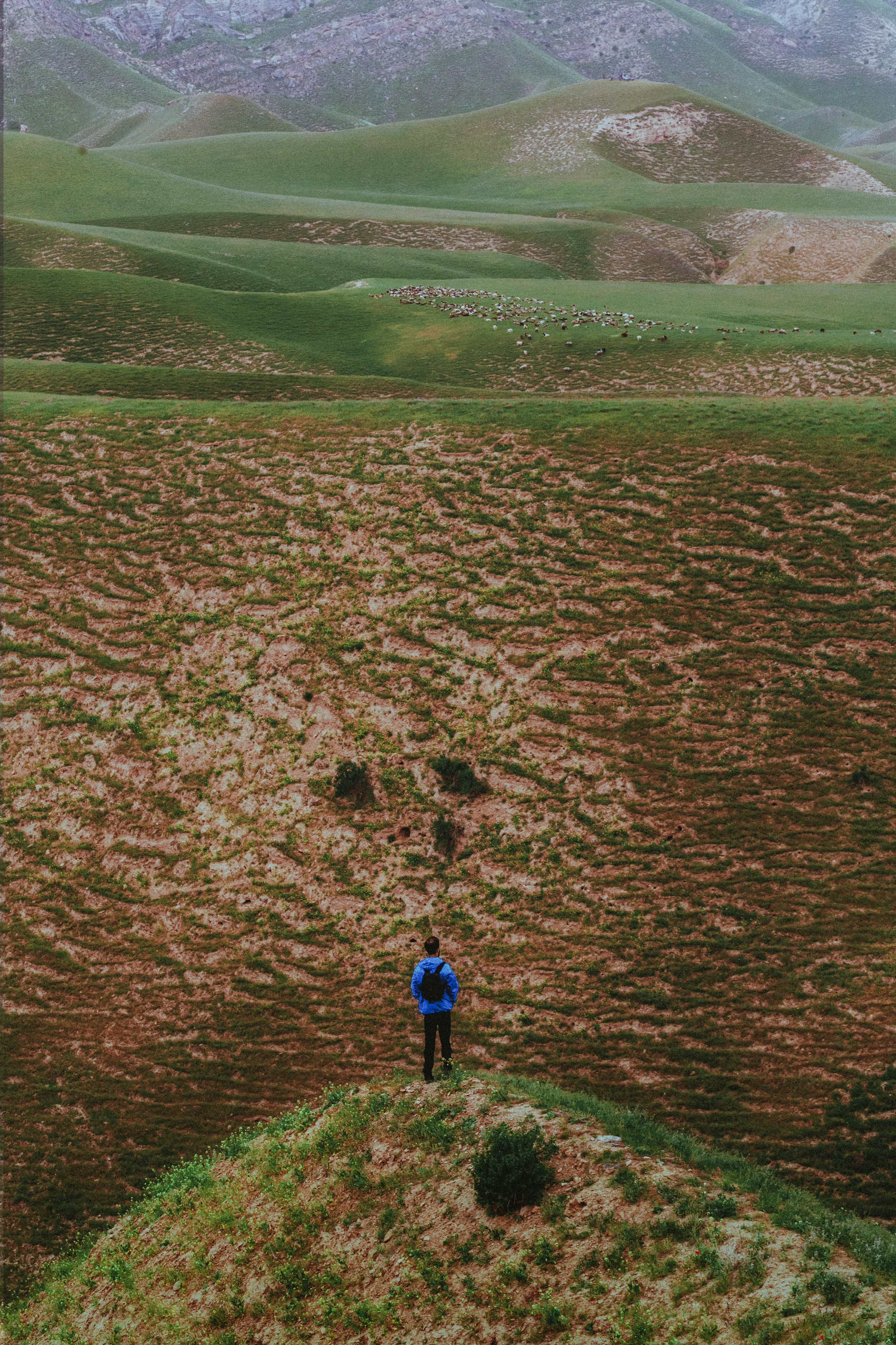  solitary wanderer on a rolling hill under a patchwork sky