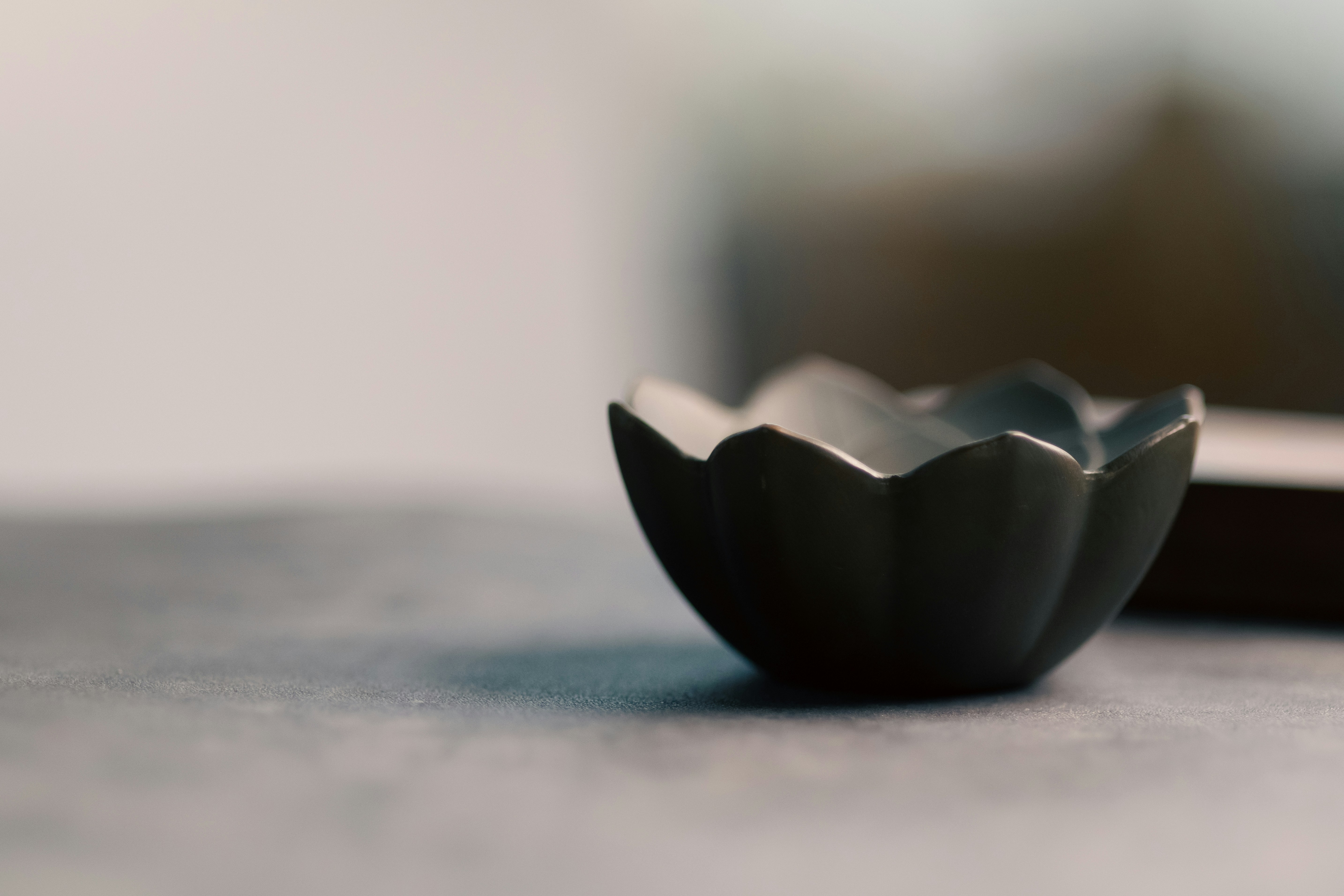 Petal Crown in Soft Focus: A Minimal Studio Moment