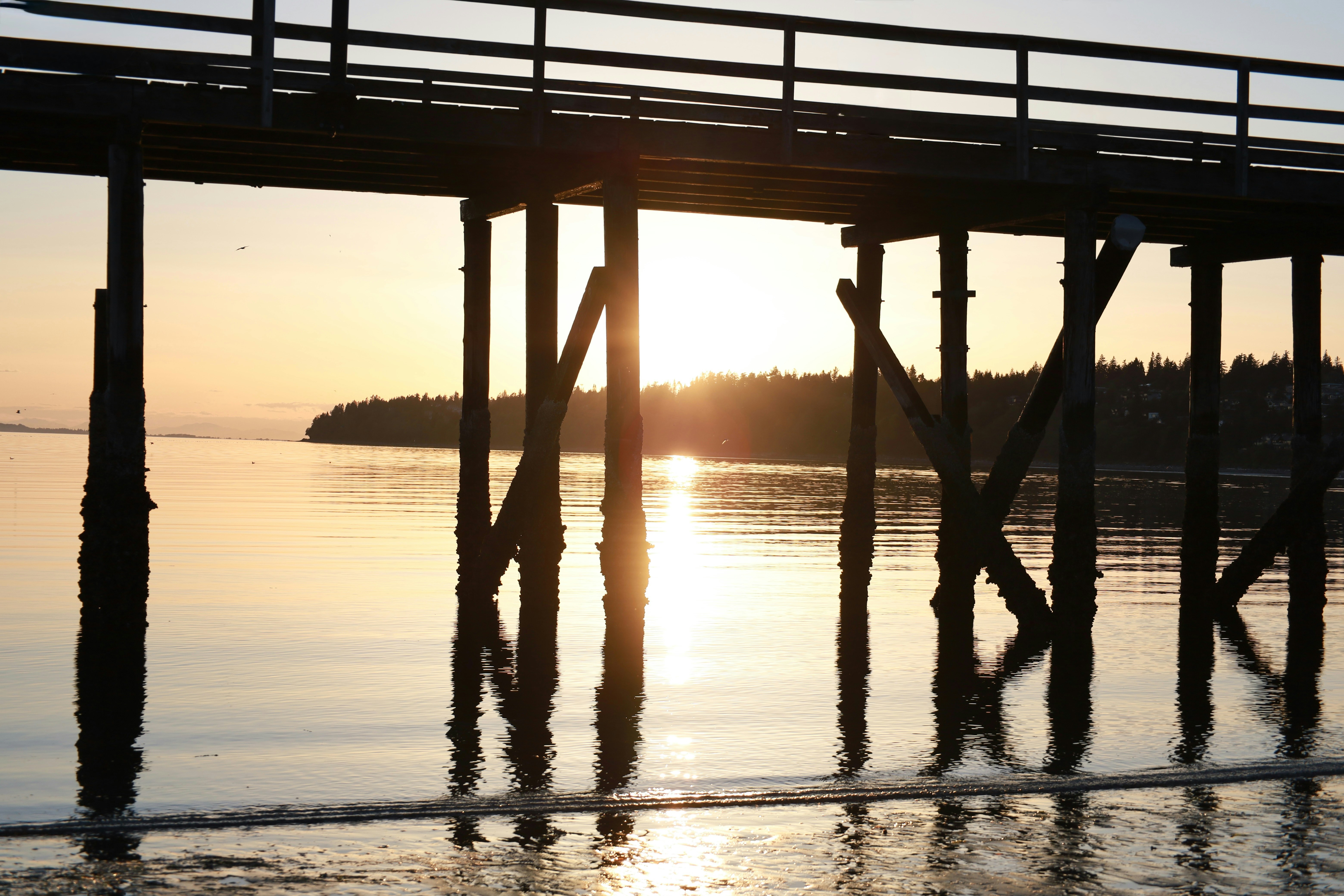 Sunlit Pier Silhouettes: Vertical Columns Framing a Calm Sea