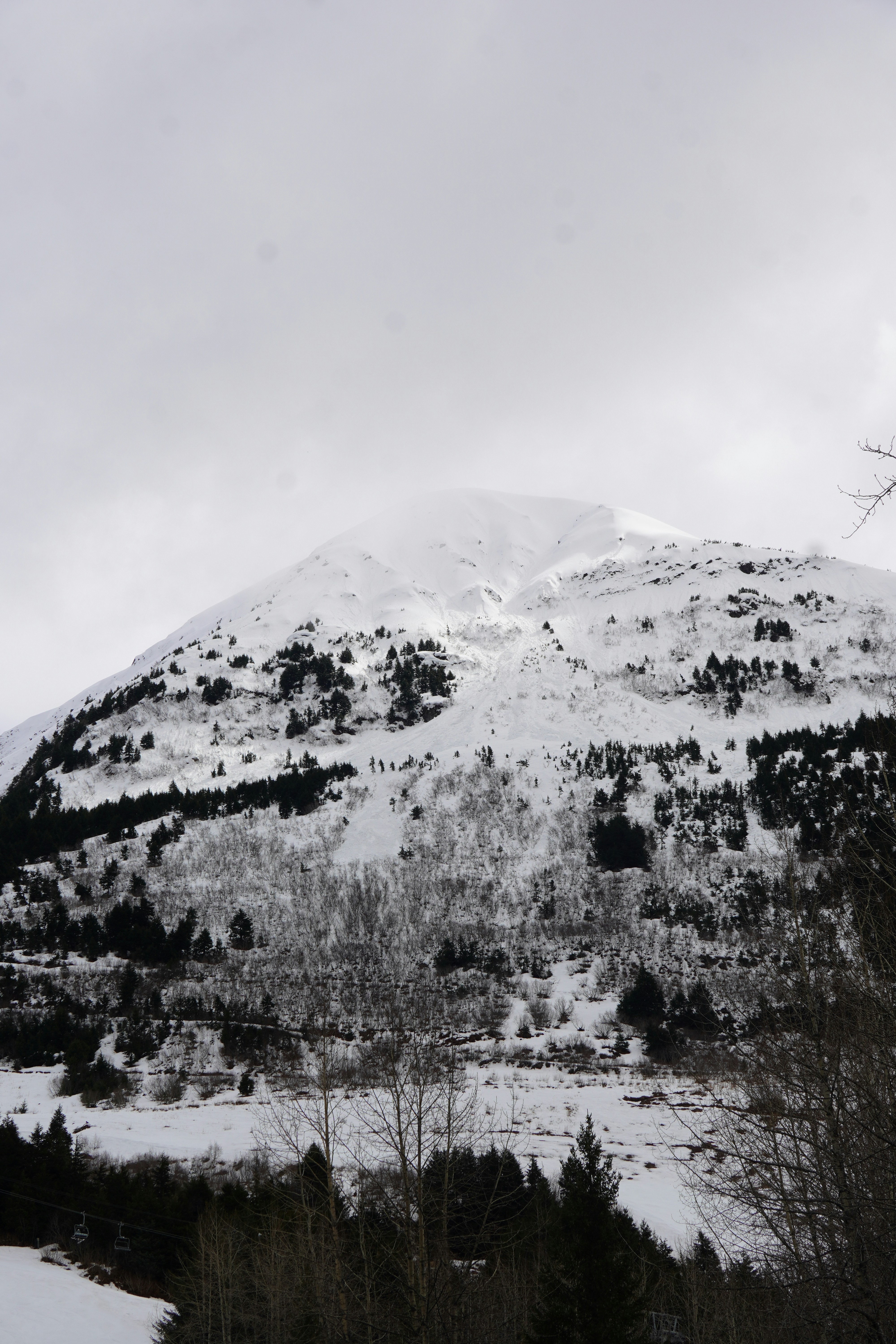 Snow-Capped Peak Rising Above the Pine Slope