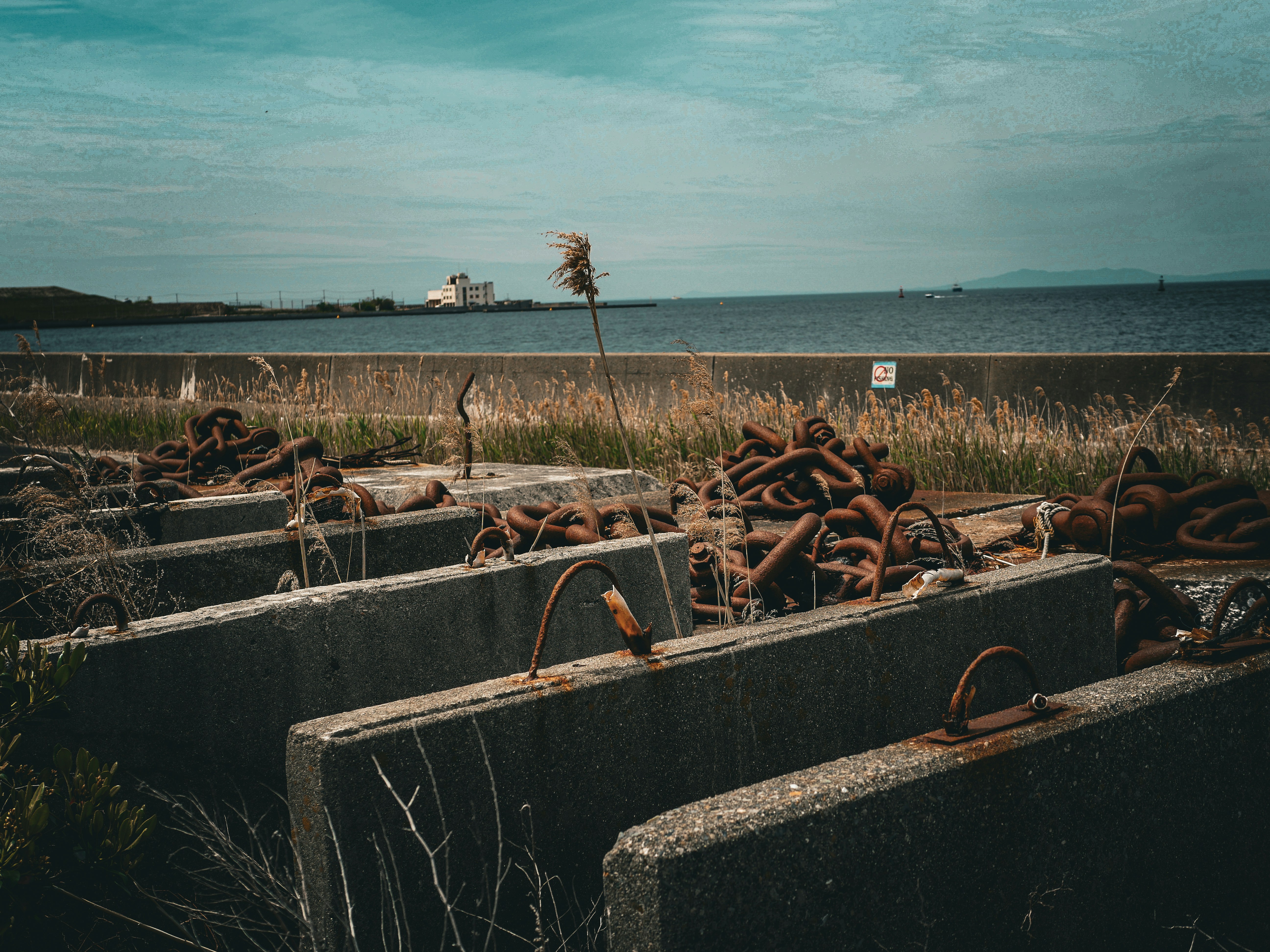 Weathered moorings along a quiet harbor horizon