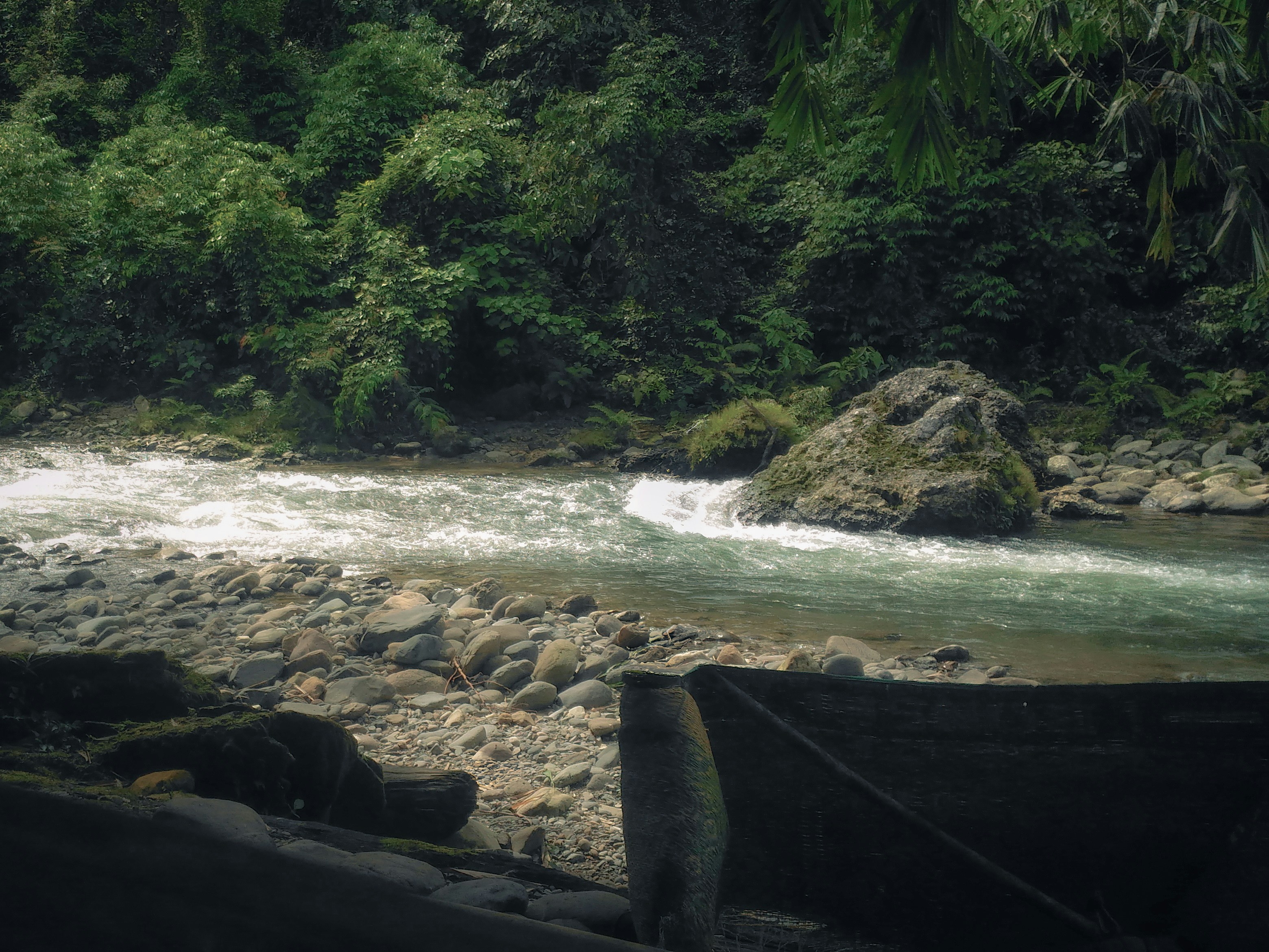 A river flows through a rocky forest landscape.