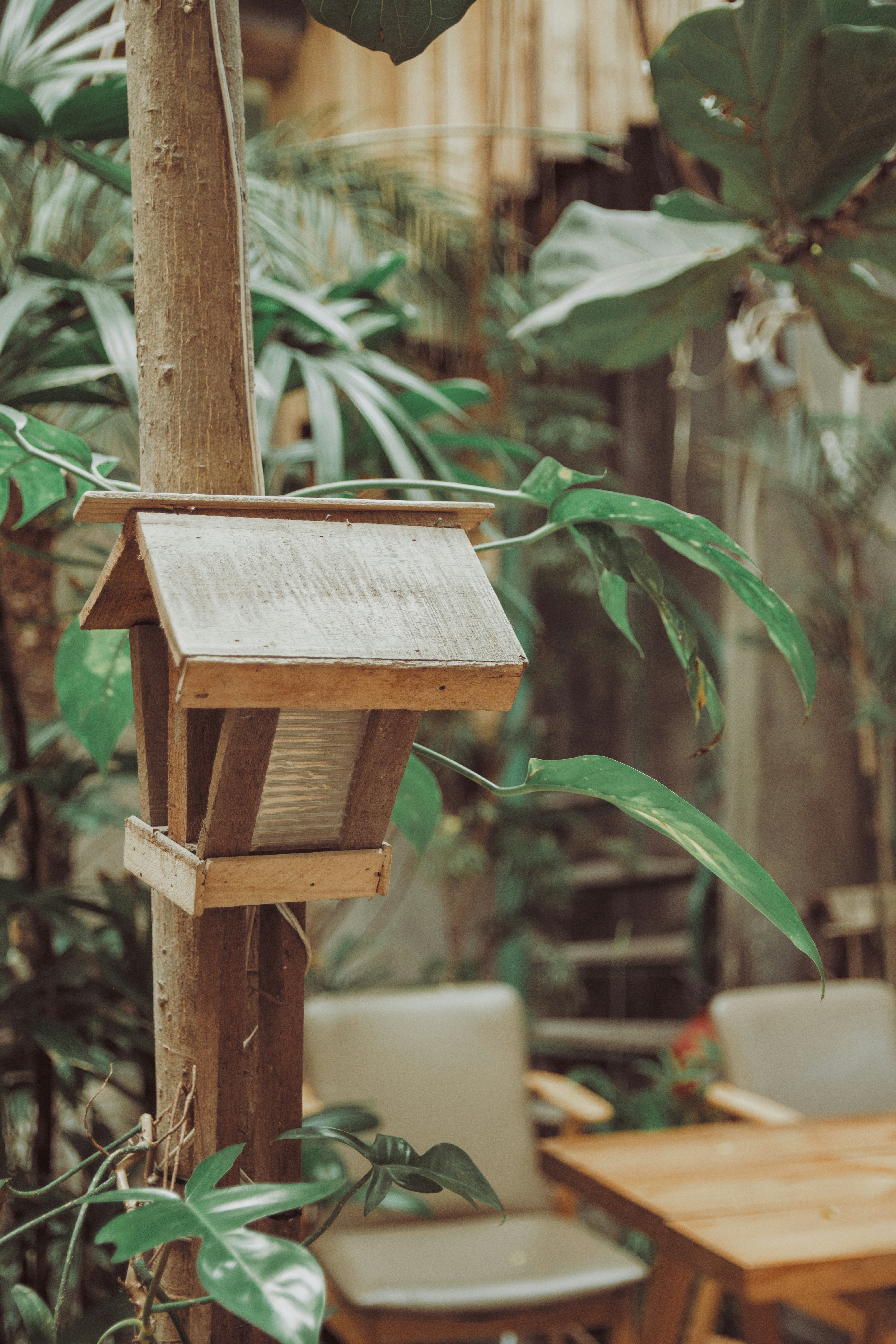 Wooden Birdhouse Adorned by Jungle Light