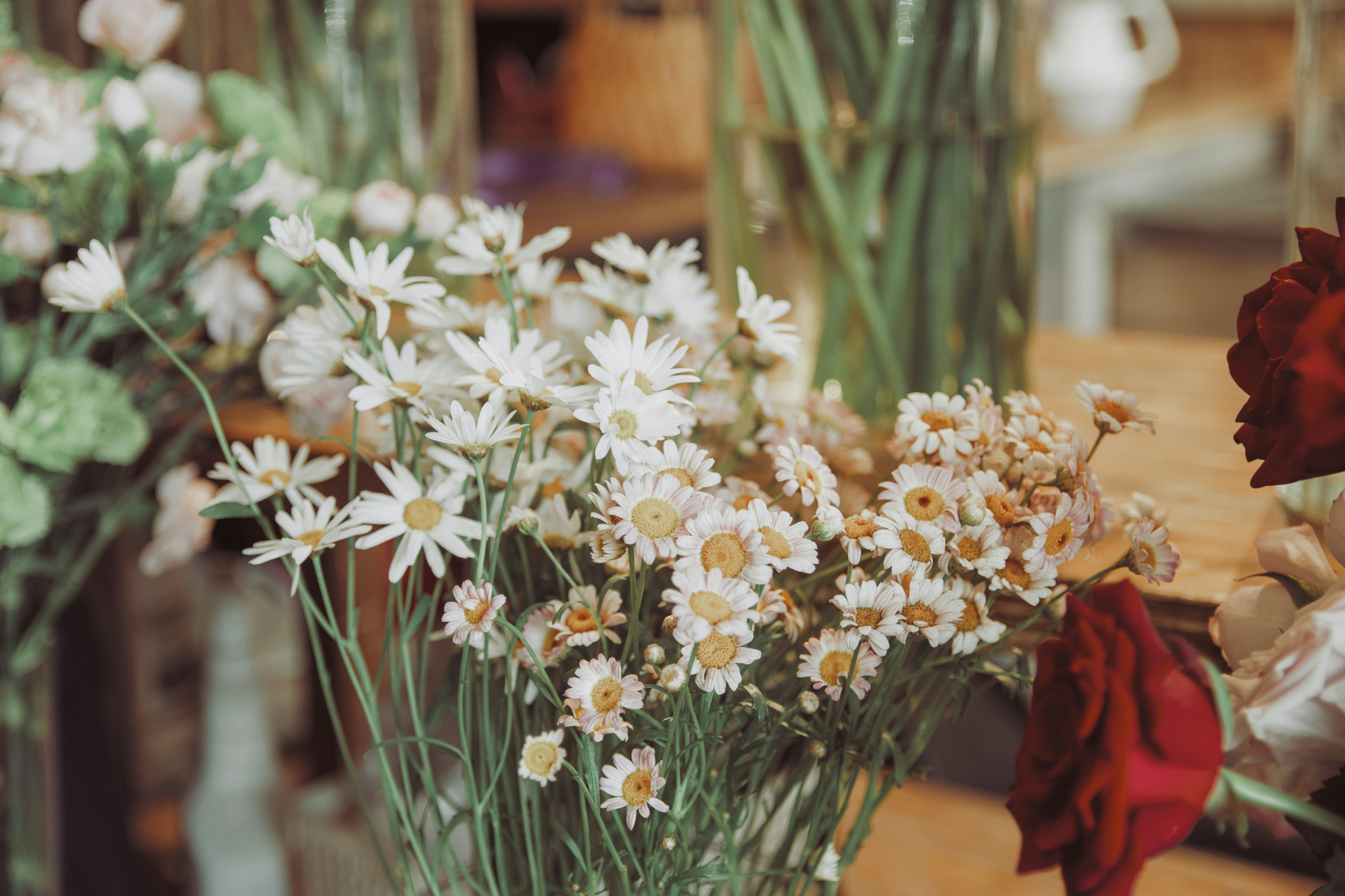 Field of White Daisies and Blushing Roses in a Warm Market Scene