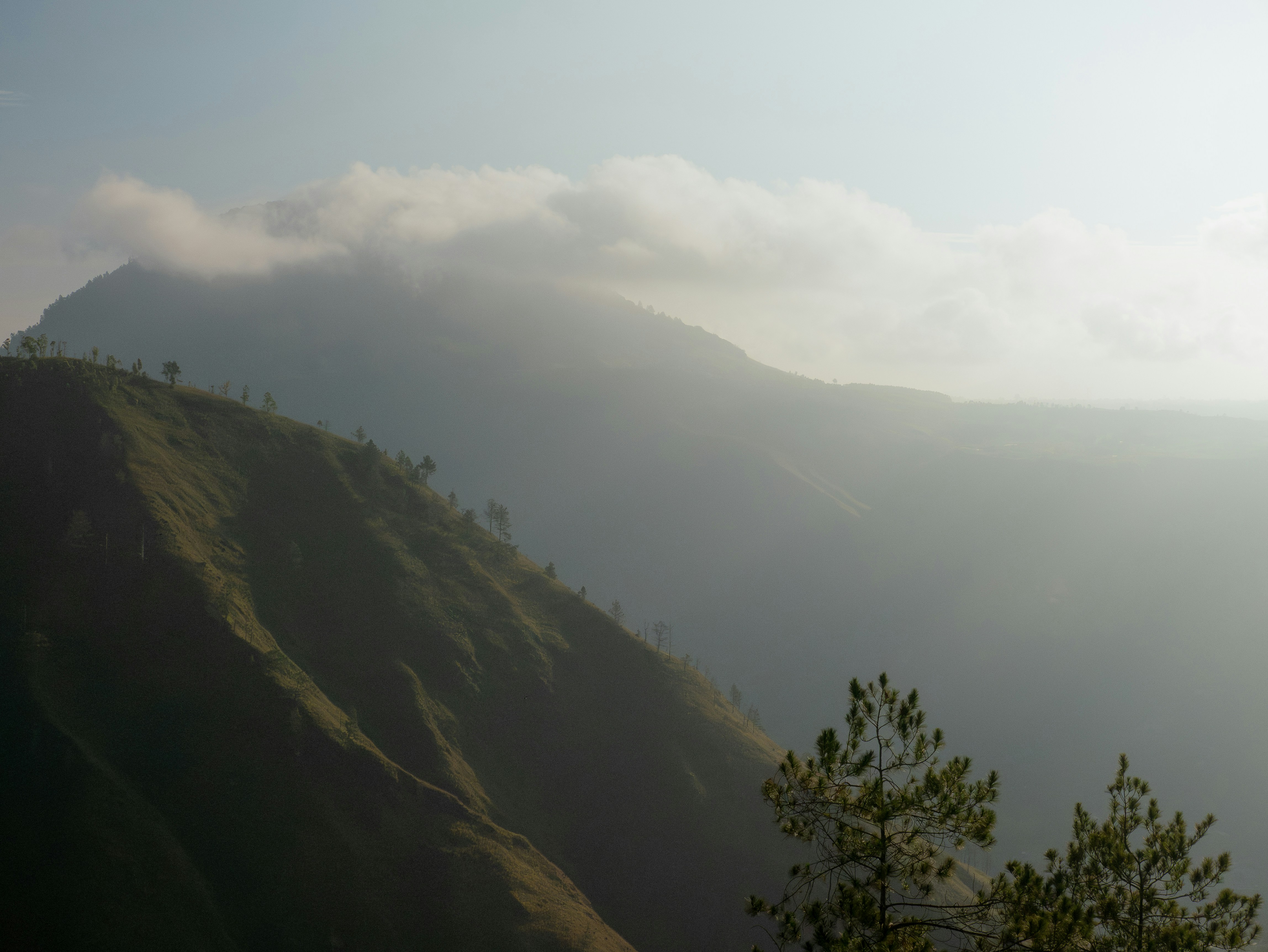 Mist-Softened Ridge: A Quiet Horizon Over Verdant Slopes