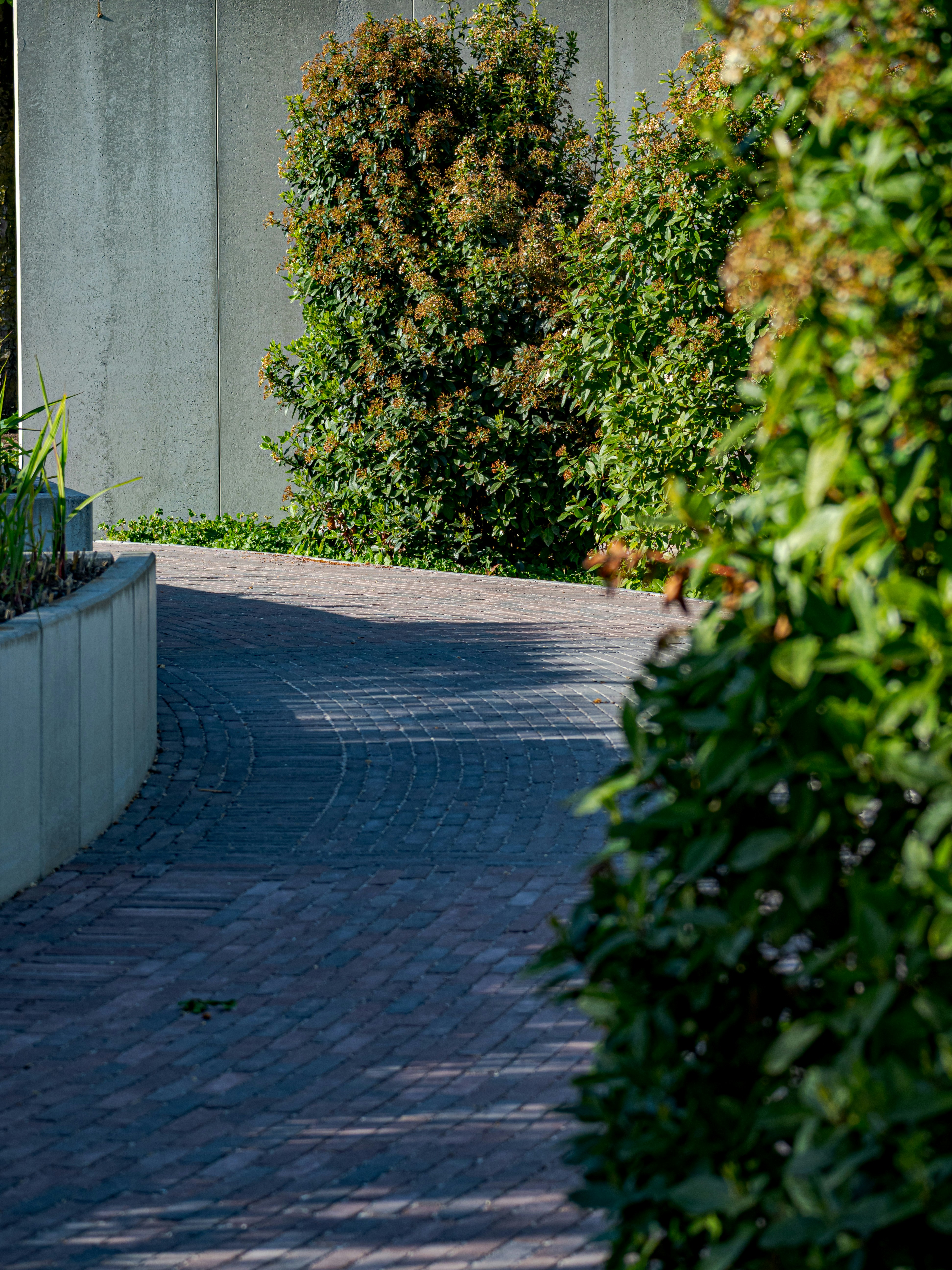 Sunlit Archway of Bricked Pathway
