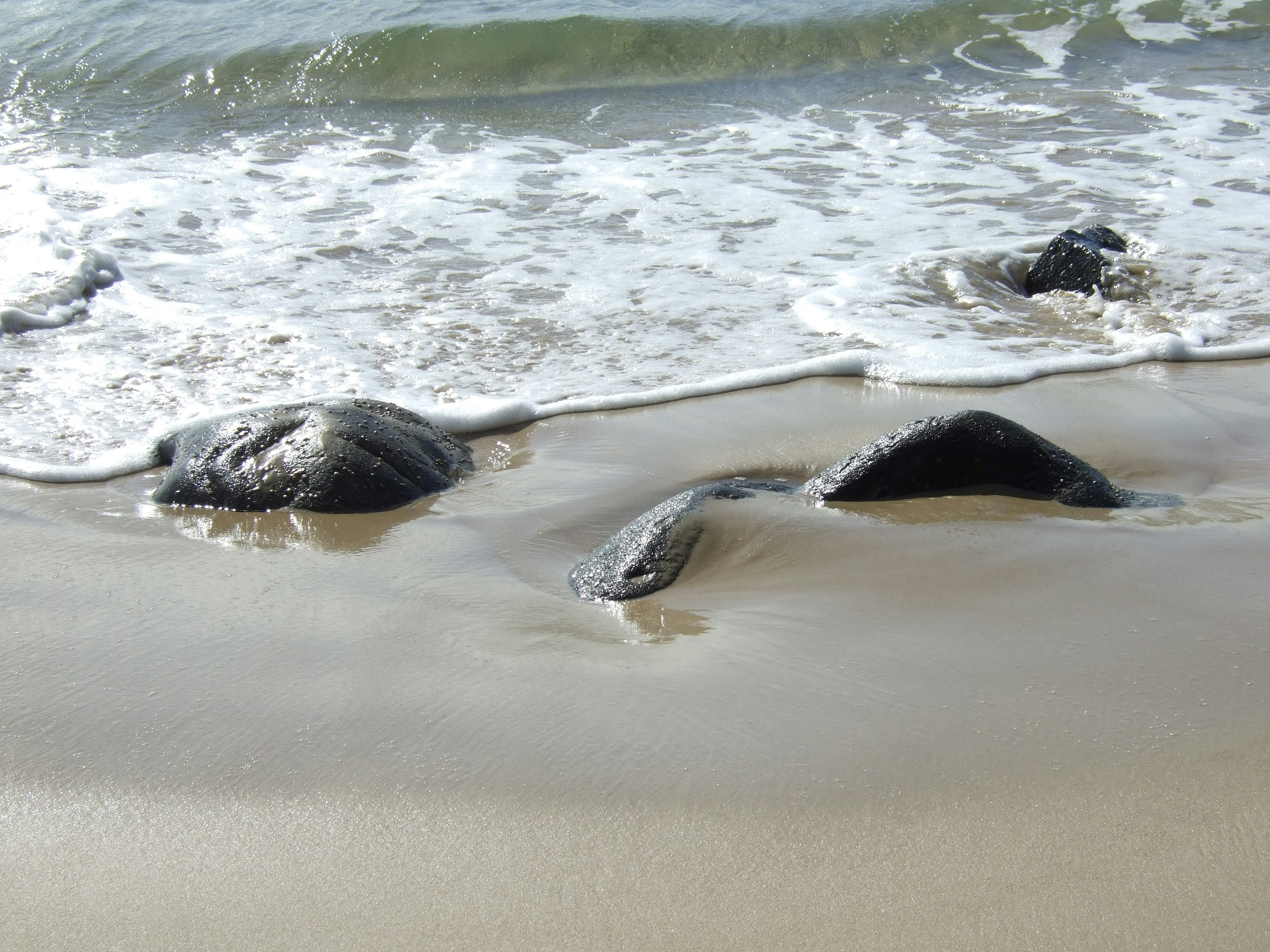 Shoreline Boulders Meet a Whispering Tide