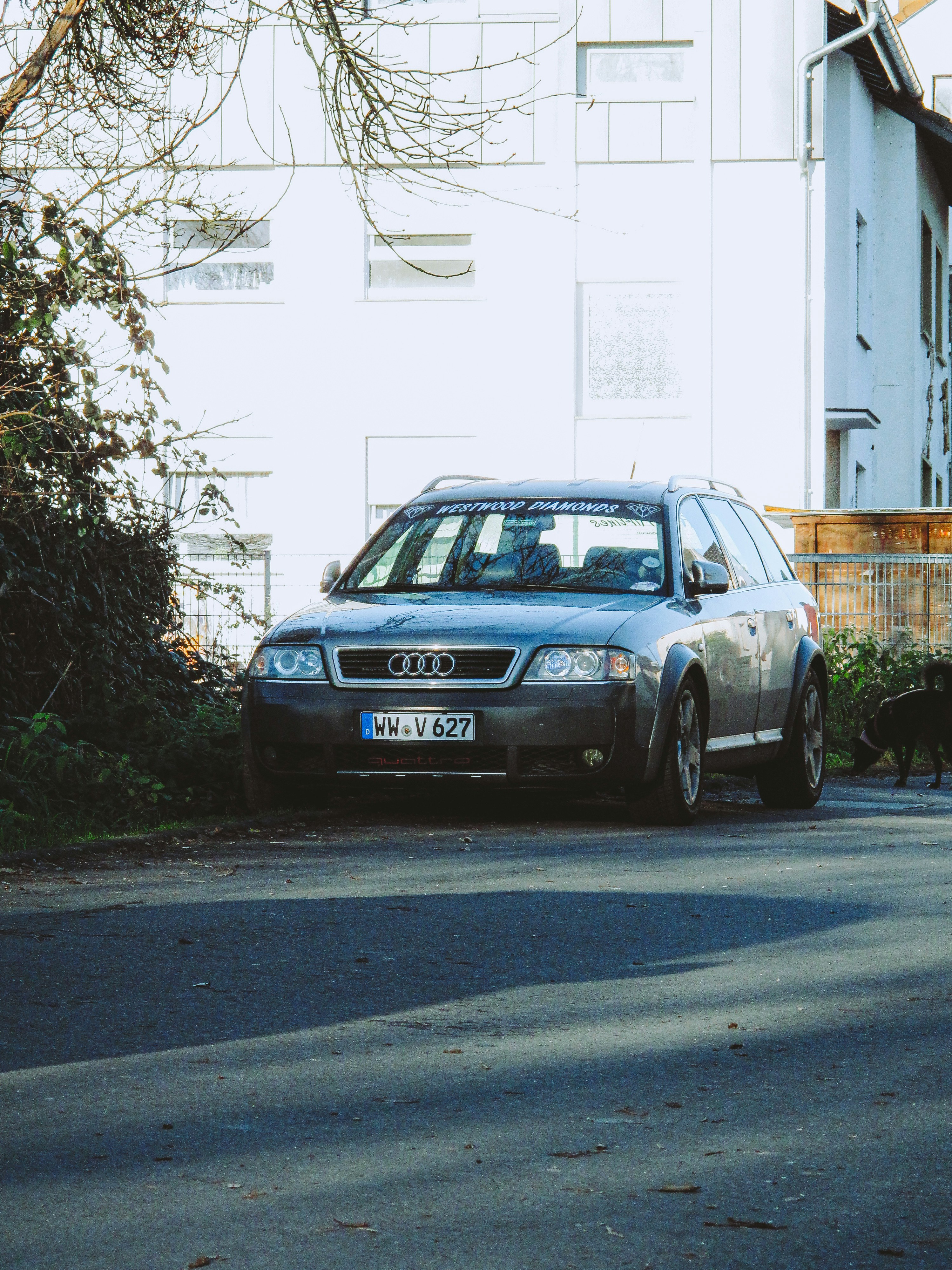 Sidelane Guardian: A Silver Audi Parked by a Quiet Back Street