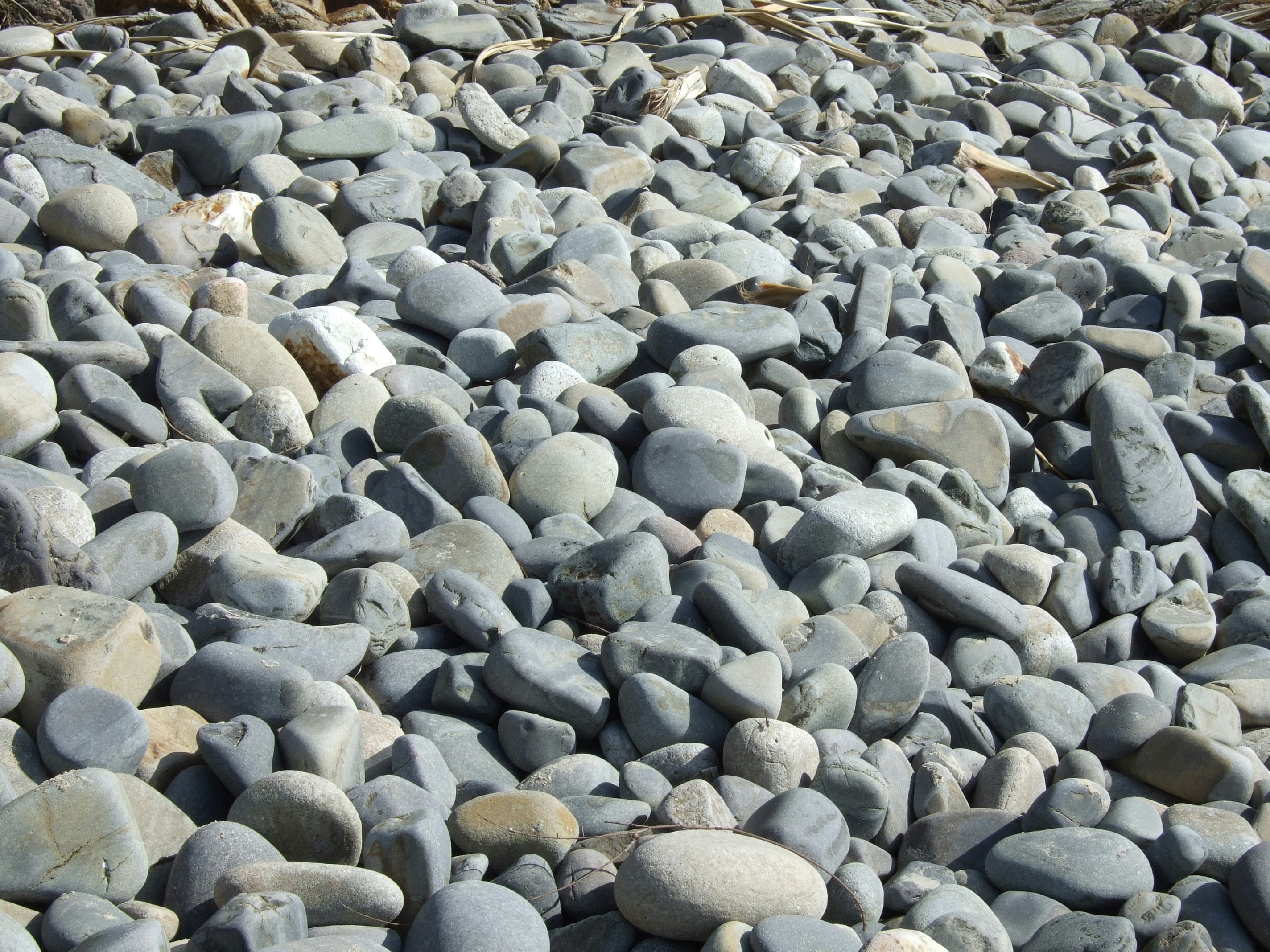Pebble mosaic at the shoreline