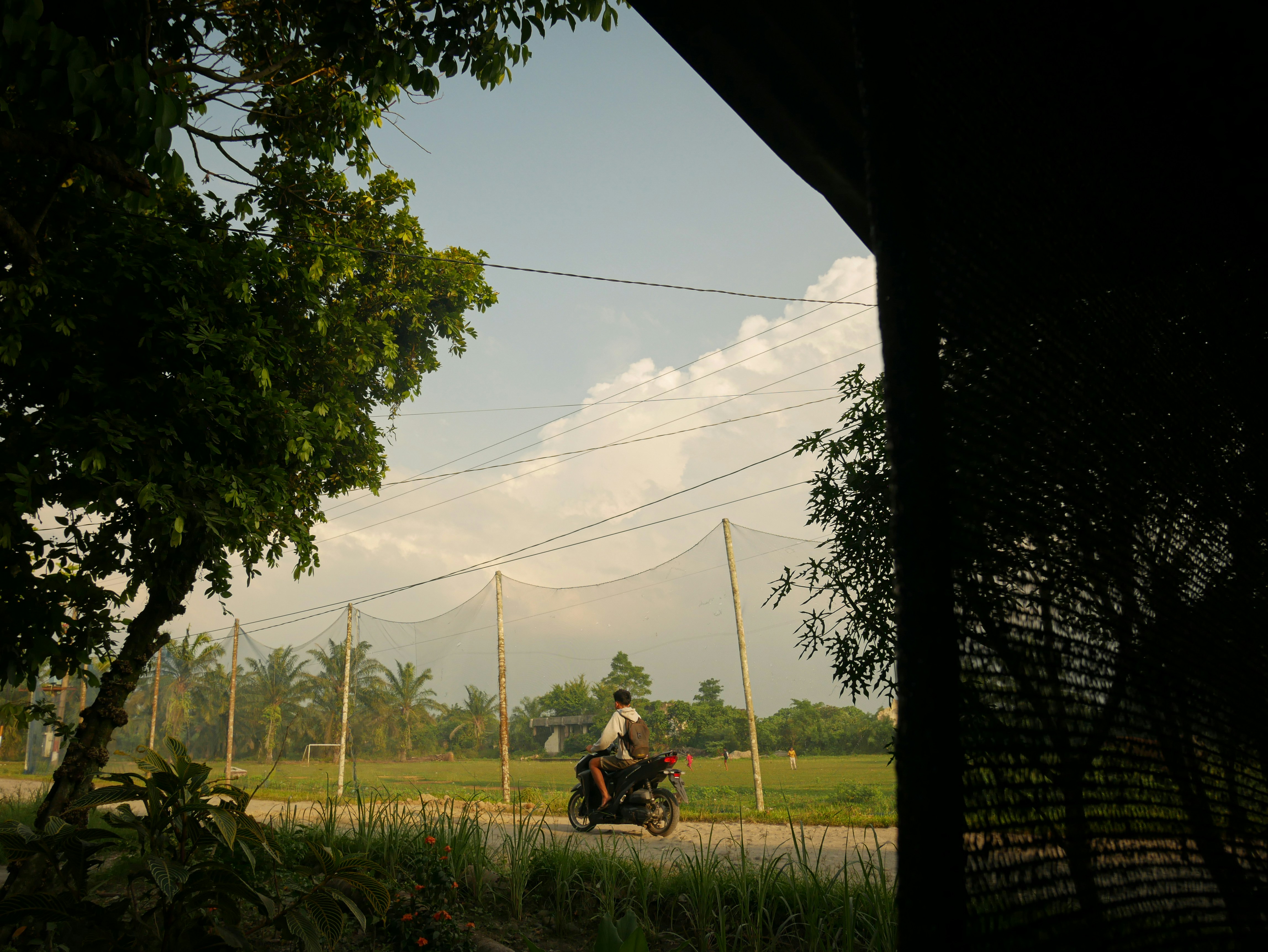 Rural Rider: A Quiet Road through Open Fields