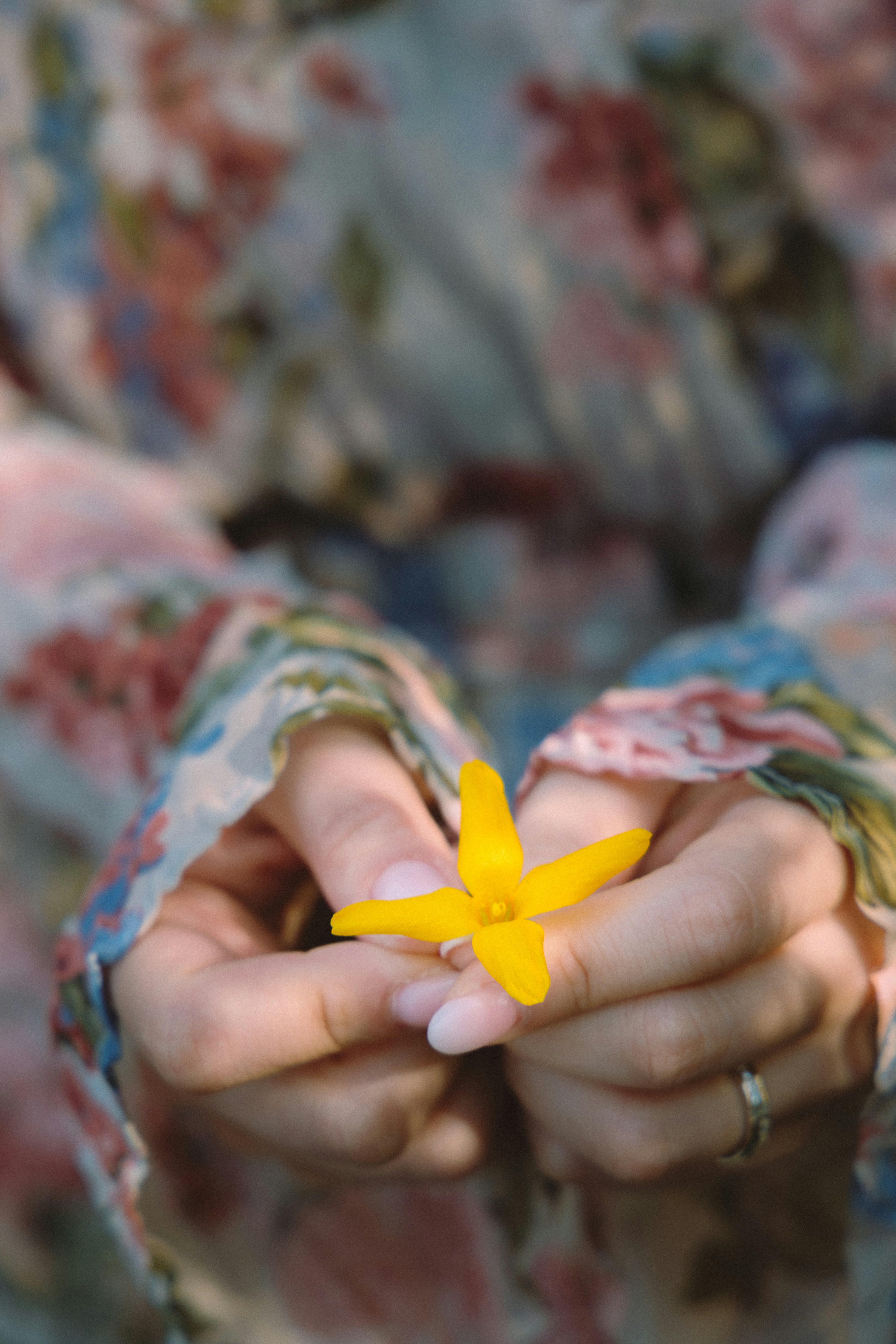 Yellow Blossom Passed Between Gentle Hands