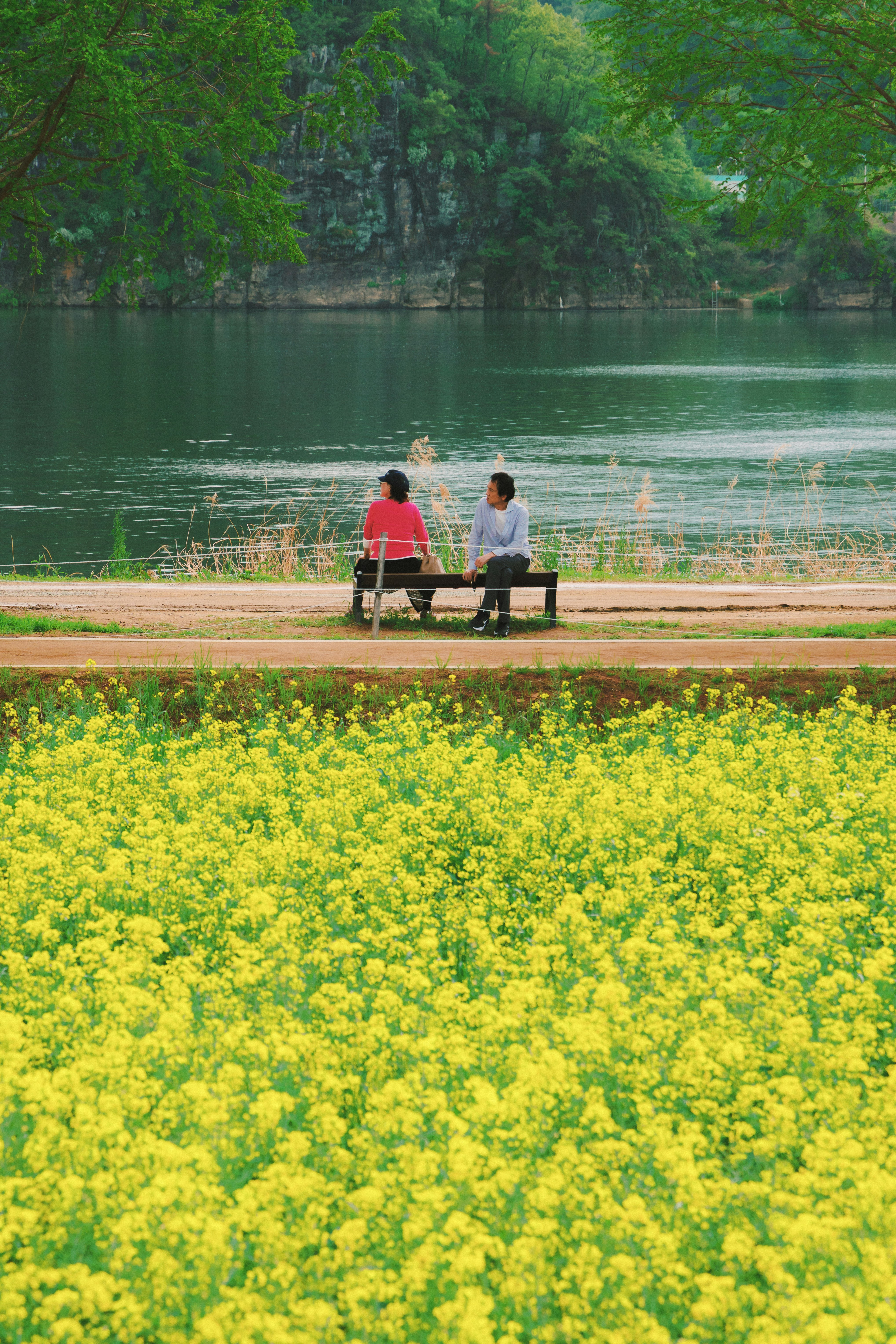 Quiet Conversation by the Lakeside Path