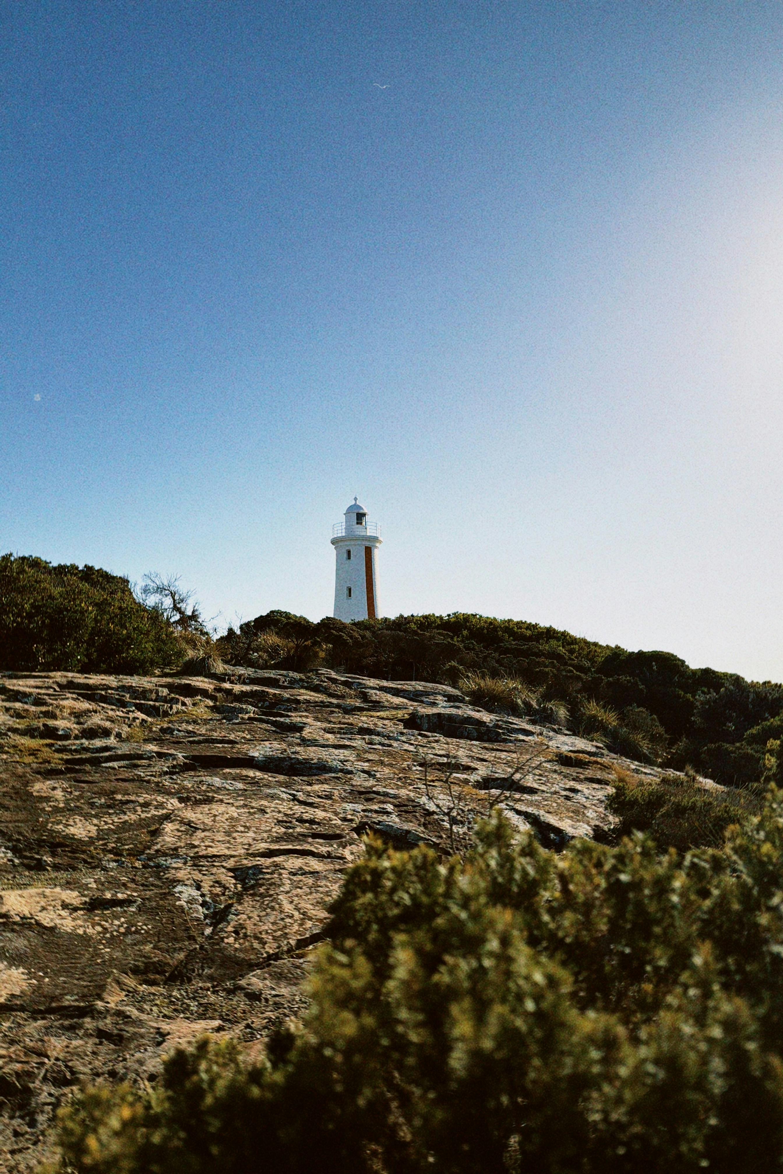 Lighthouse on the Wind-Swept Ledge