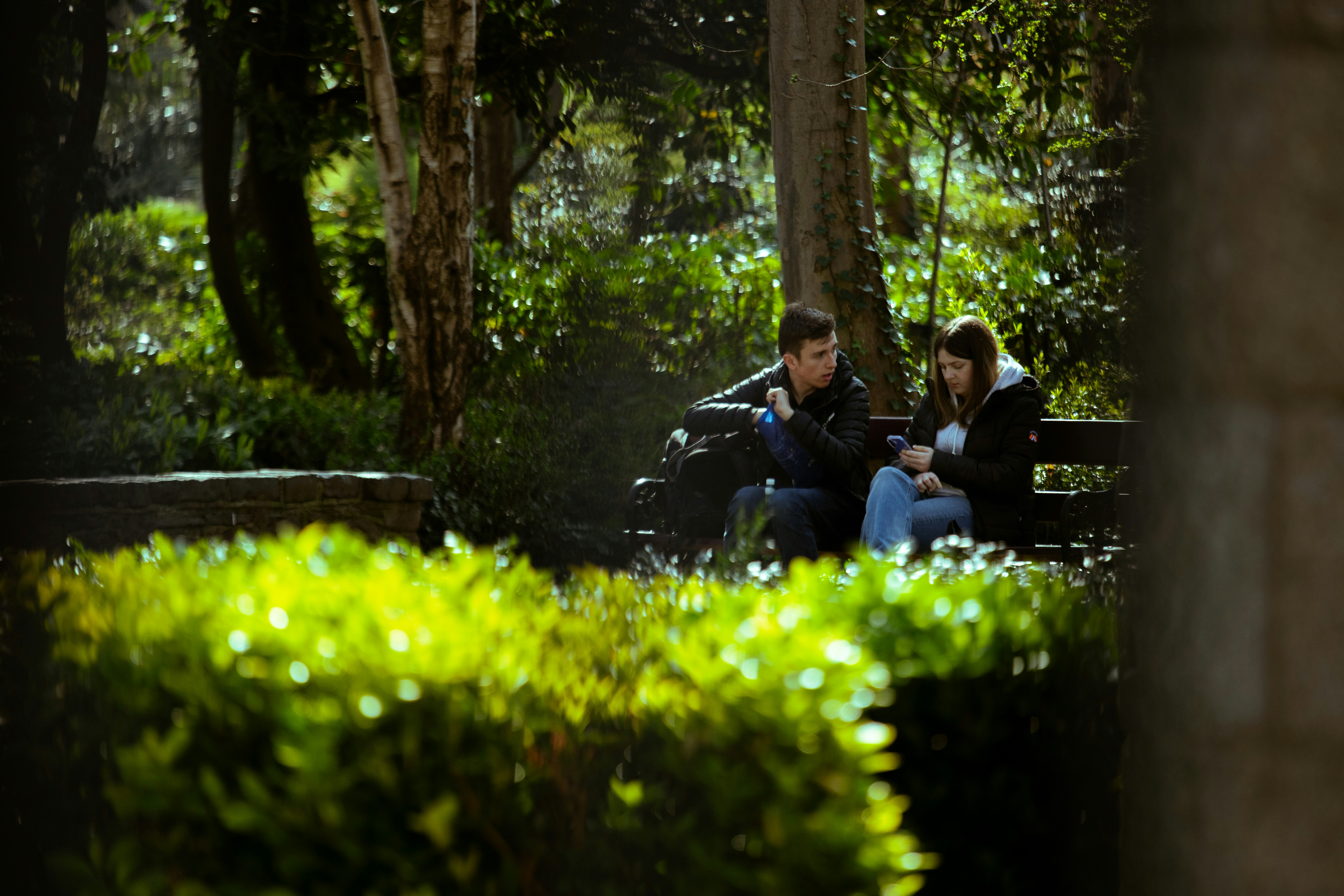 Whispers on the Park Bench