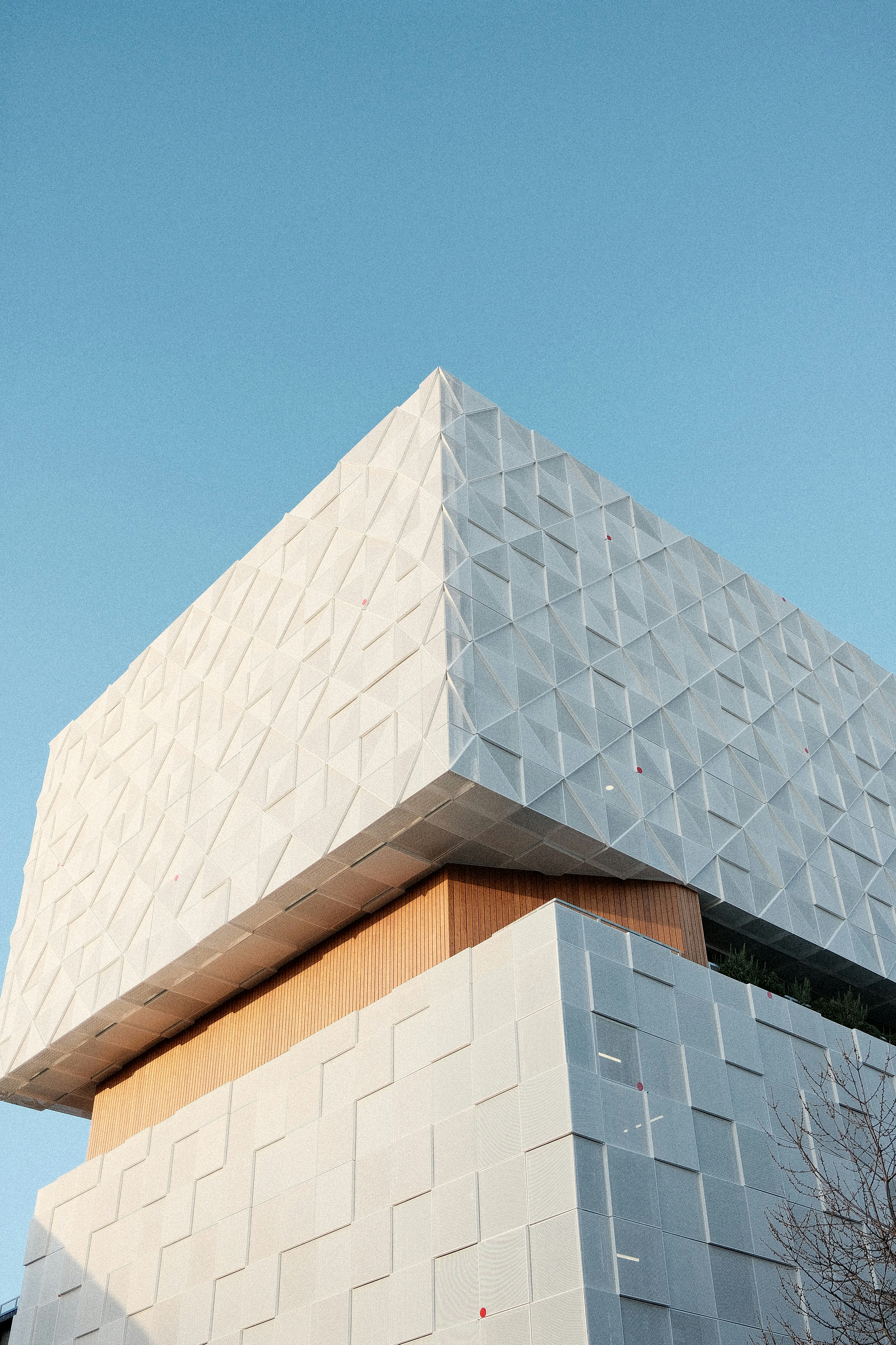 Angular Horizon: Light and Shadow on a Geometric Facade