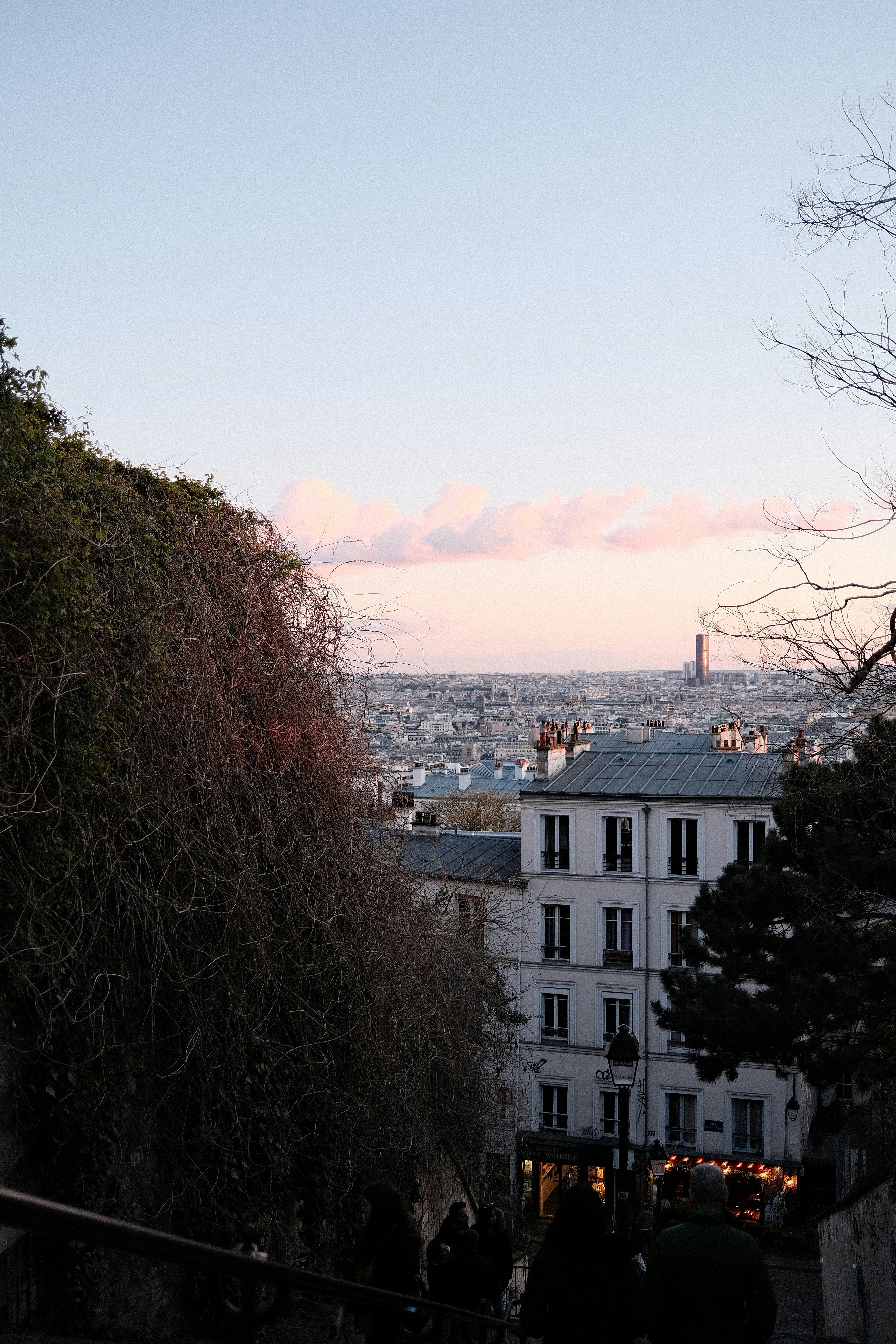 Sunlit Parisian rooftops at dusk with a stairway descent framed by trees and a distant skyline.