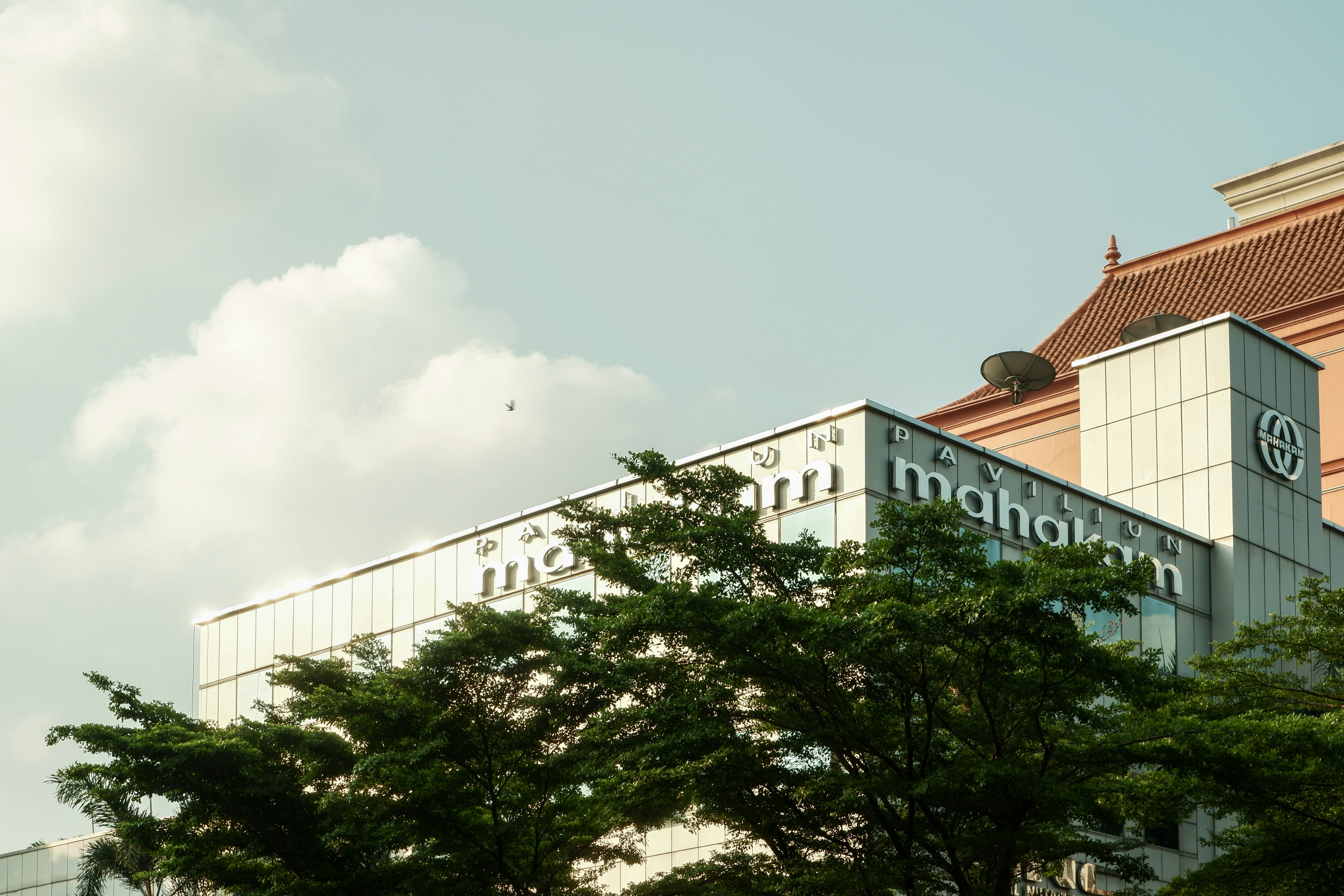 Midsummer Mall Facade Beneath a Canopy of Green