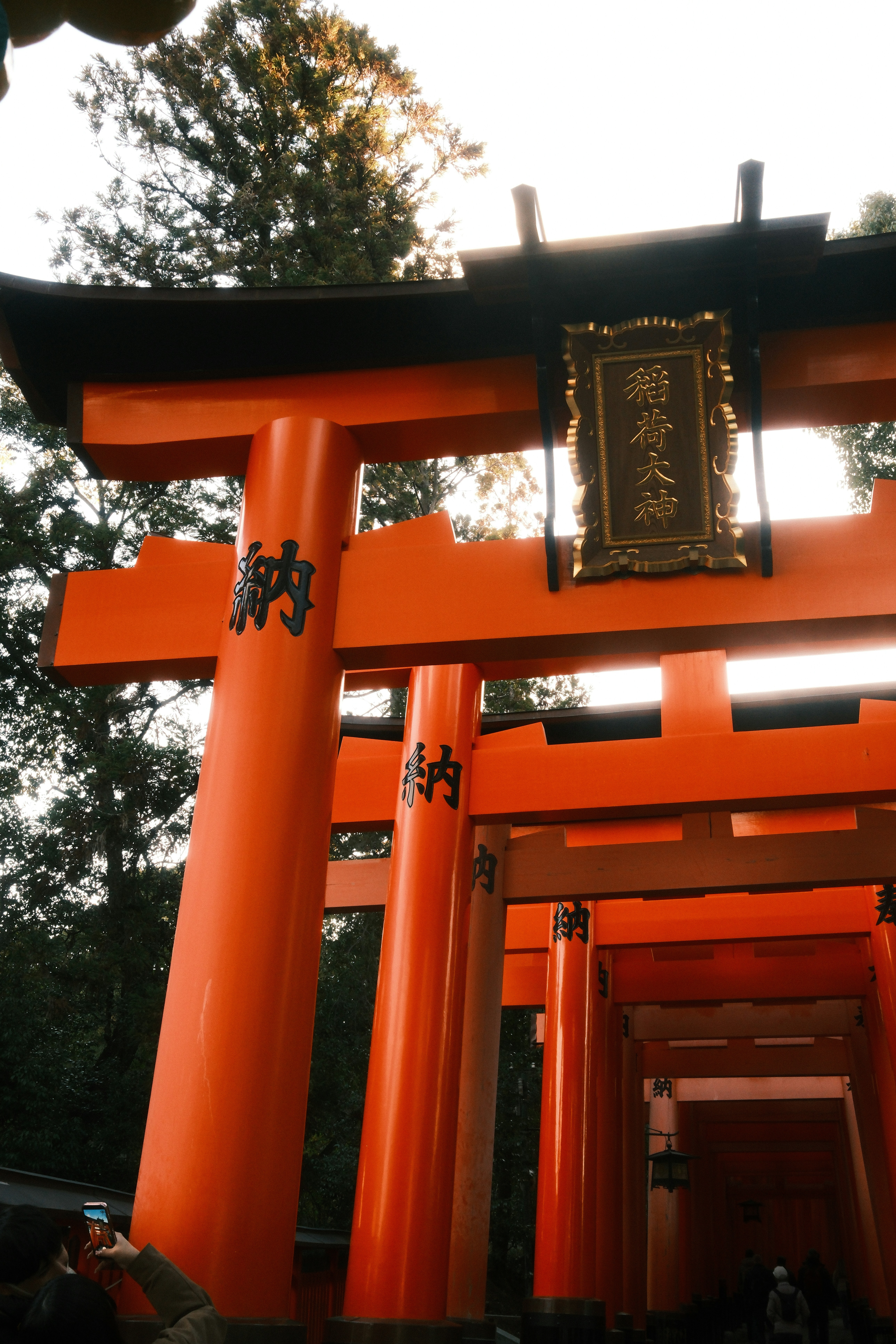 Row of Vermilion Gates: A Path Through Shrine Architecture