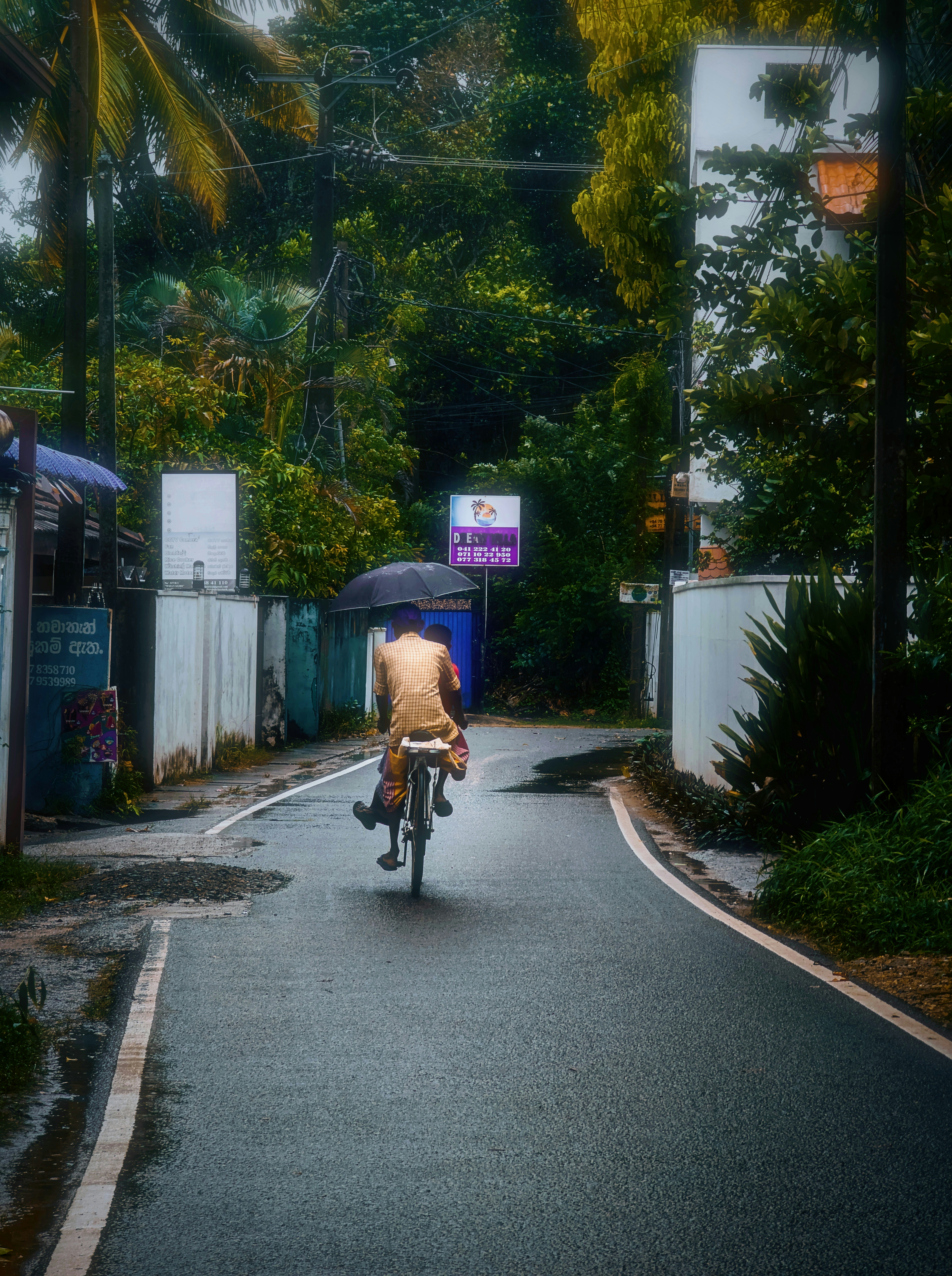 Cyclist with Purple Umbrella on a Rainy Village Lane