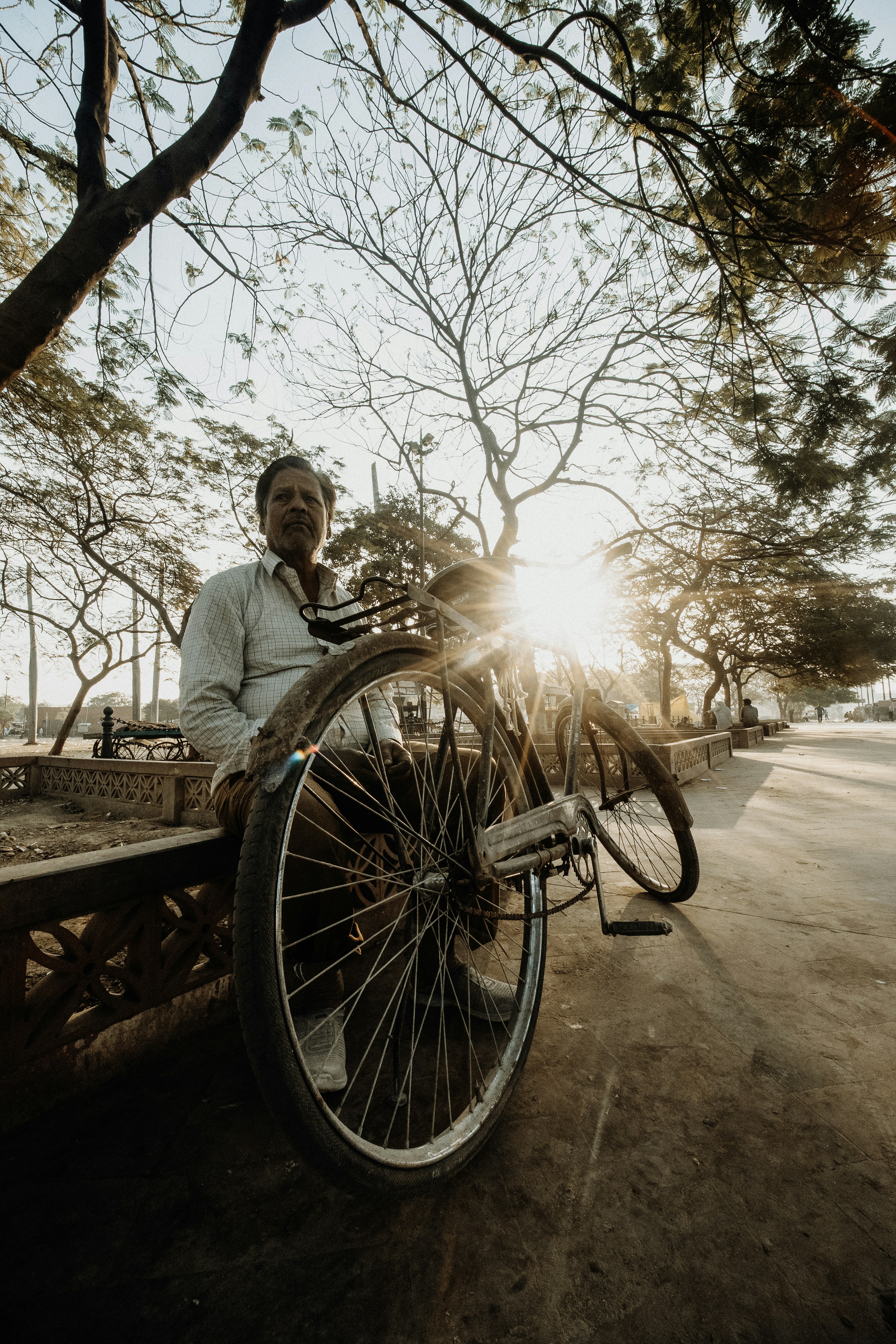 Framed by Wheels and Sunlight