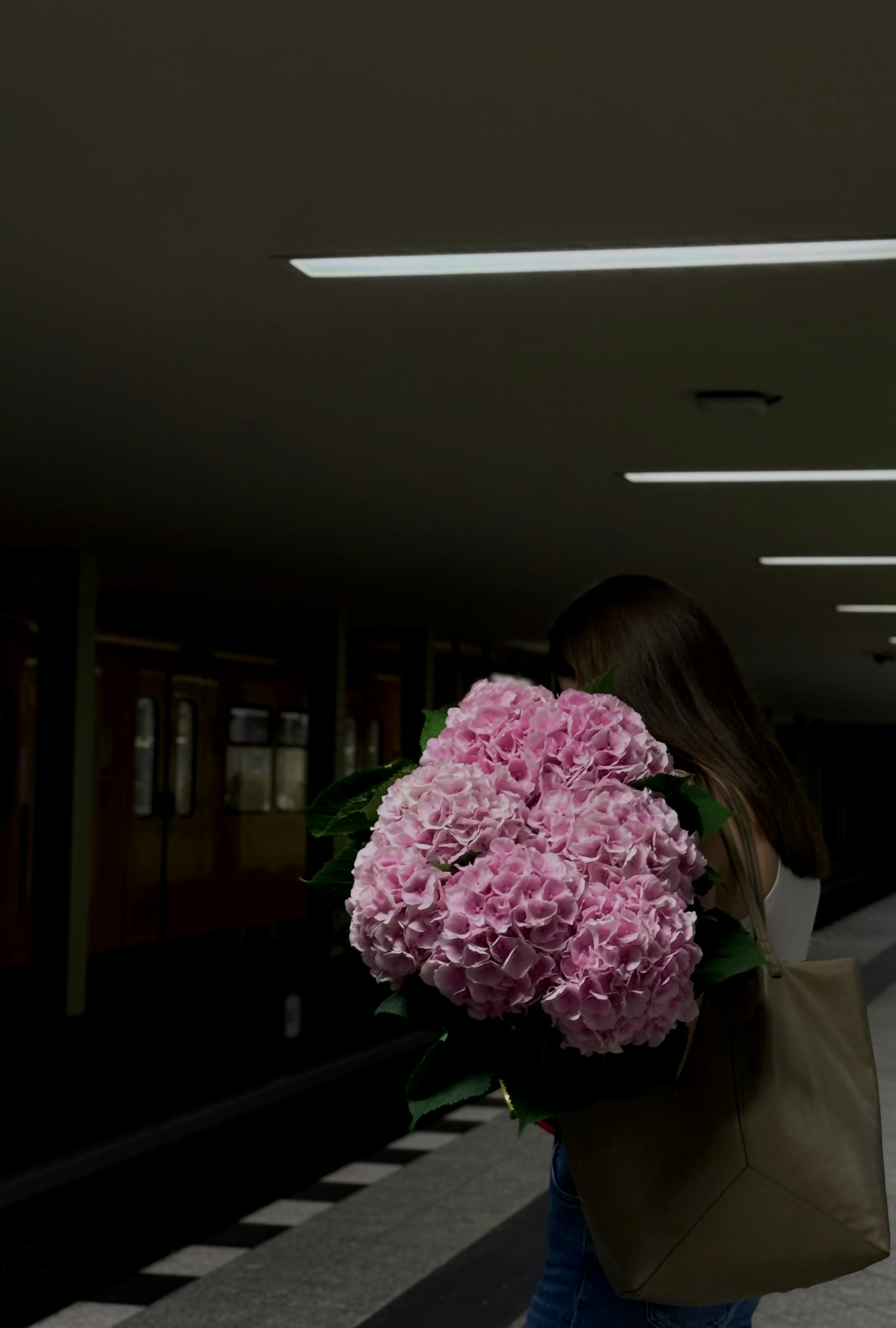 Pink Hydrangea shoulders a secret in a dim metro