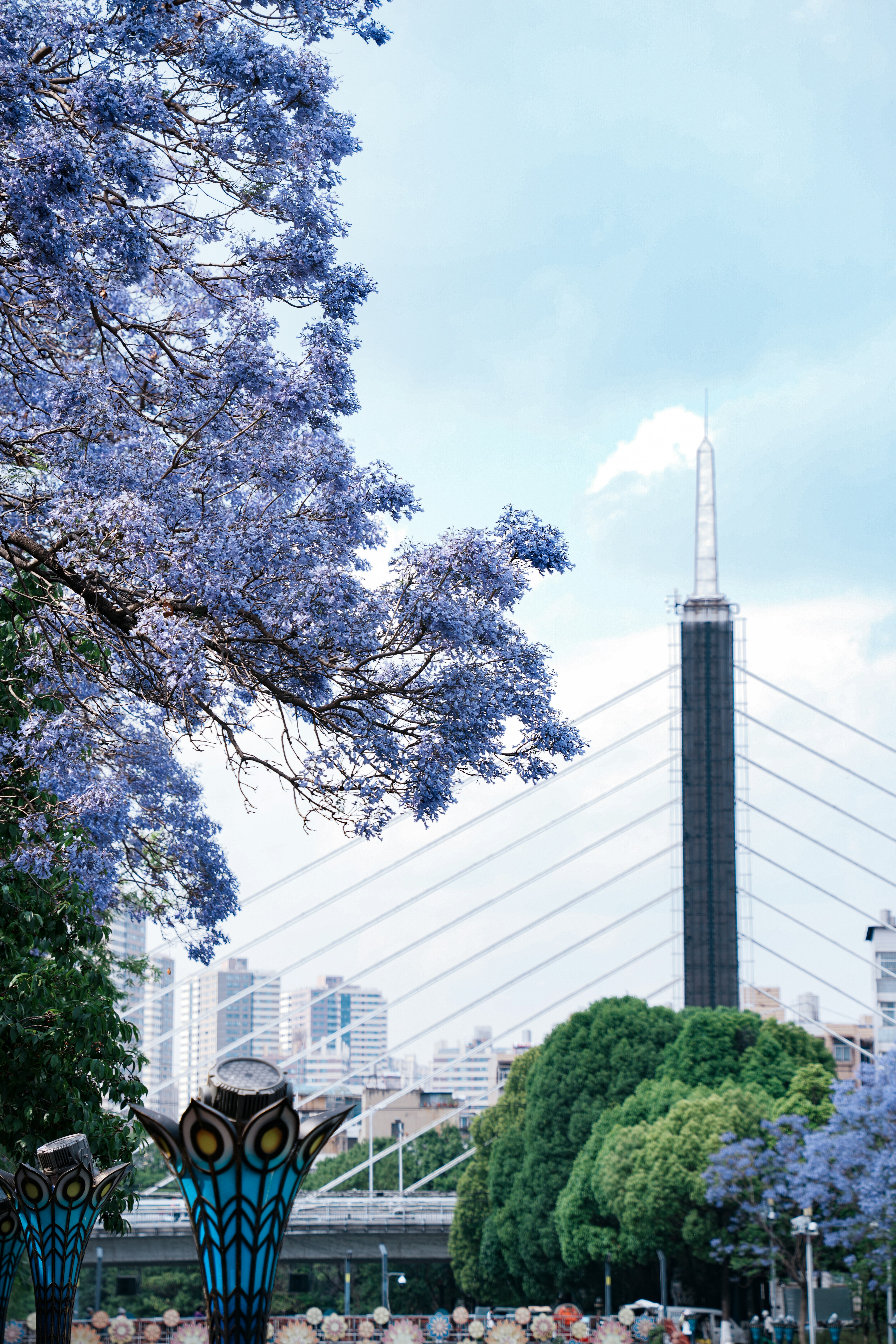 Blooming Grandeur: Urban Jacaranda Frame Against a Modern Skyline
