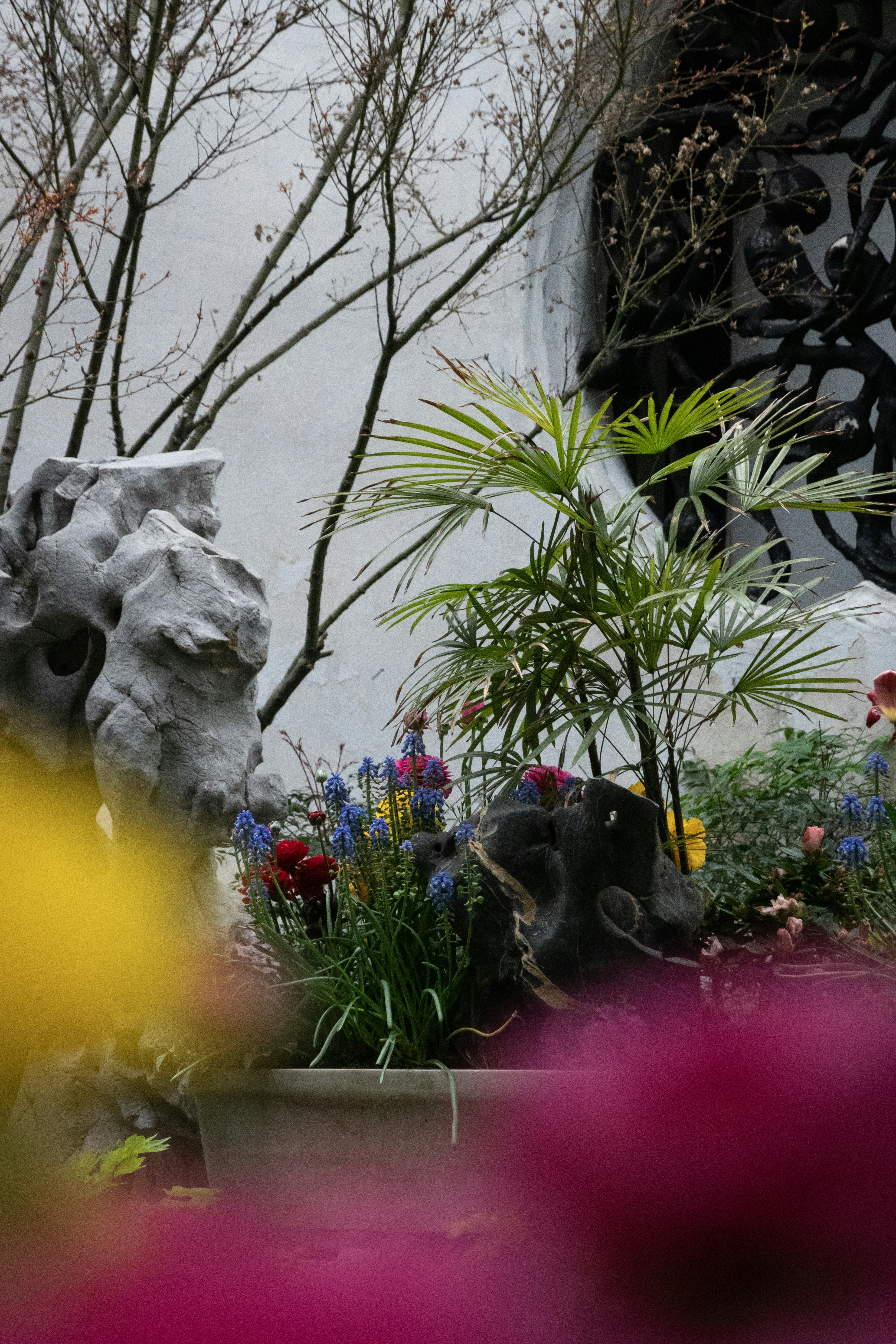 A Quiet Garden of Color: Blooming Bed and Sculpted Stone
