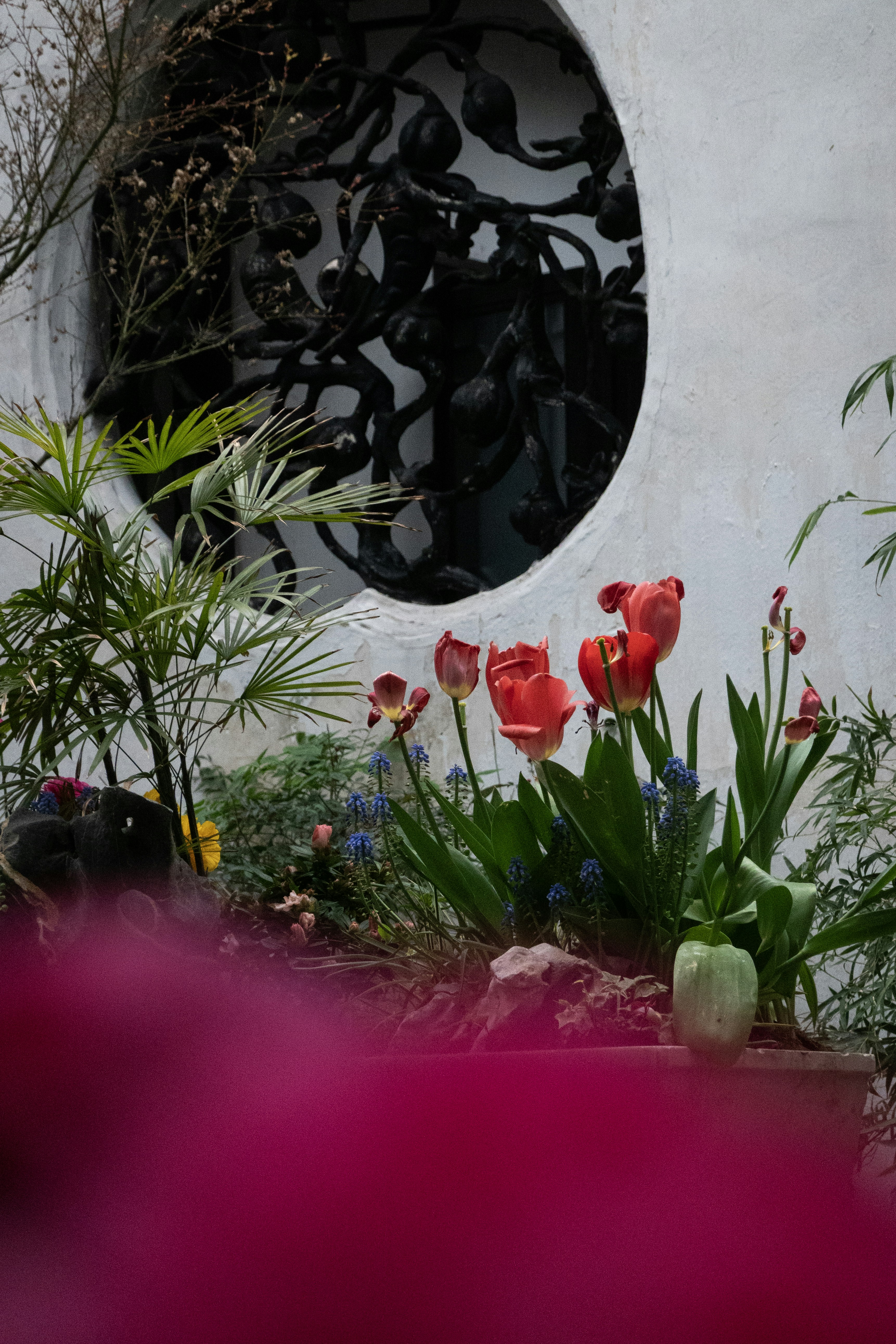 Red Tulips Guarded by a Circular Shadowsphere