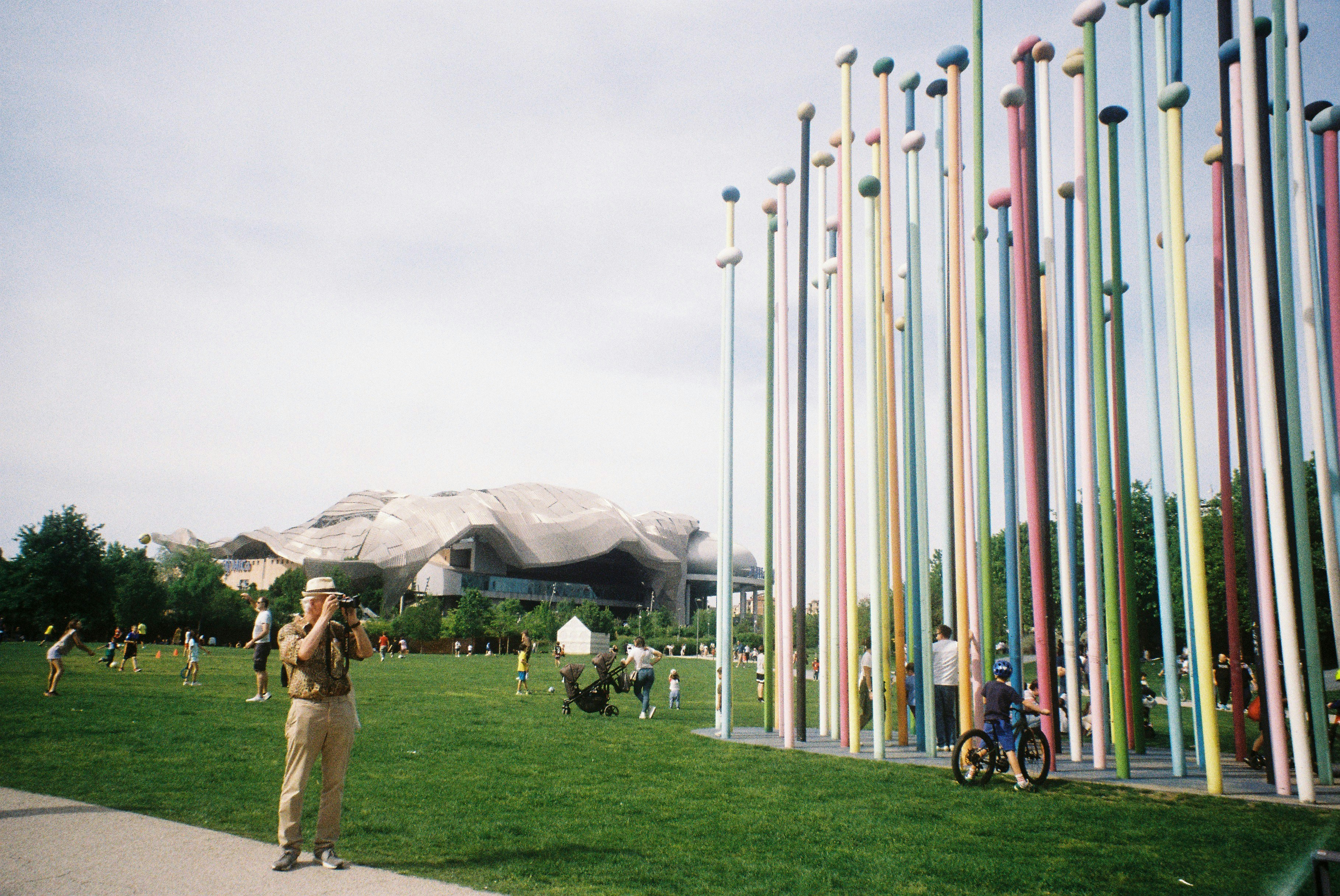 Flagpole Alley at the Park: A Kaleidoscope of Colors