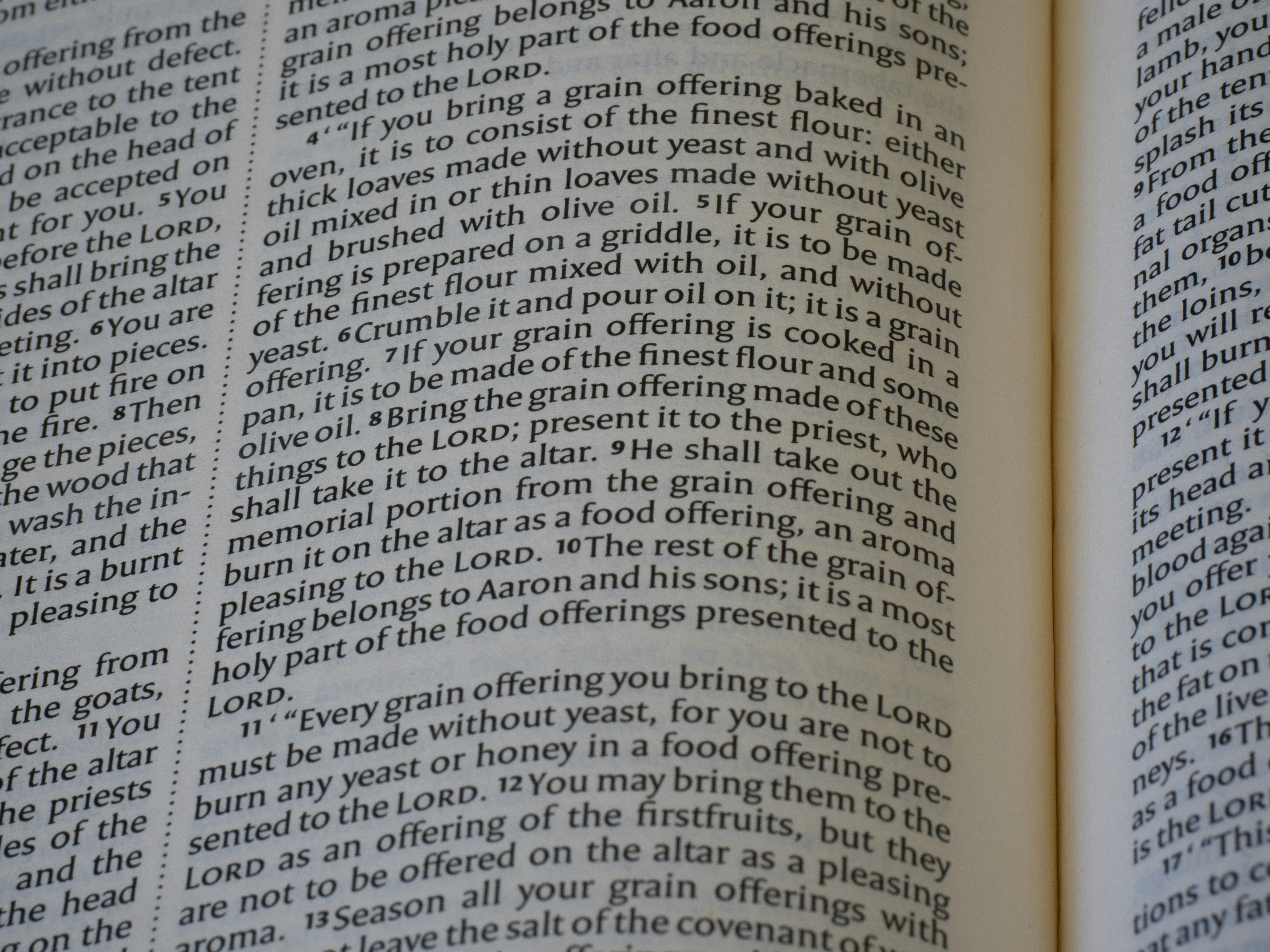 Words in Focus: A Page-Curve Portrait of Text