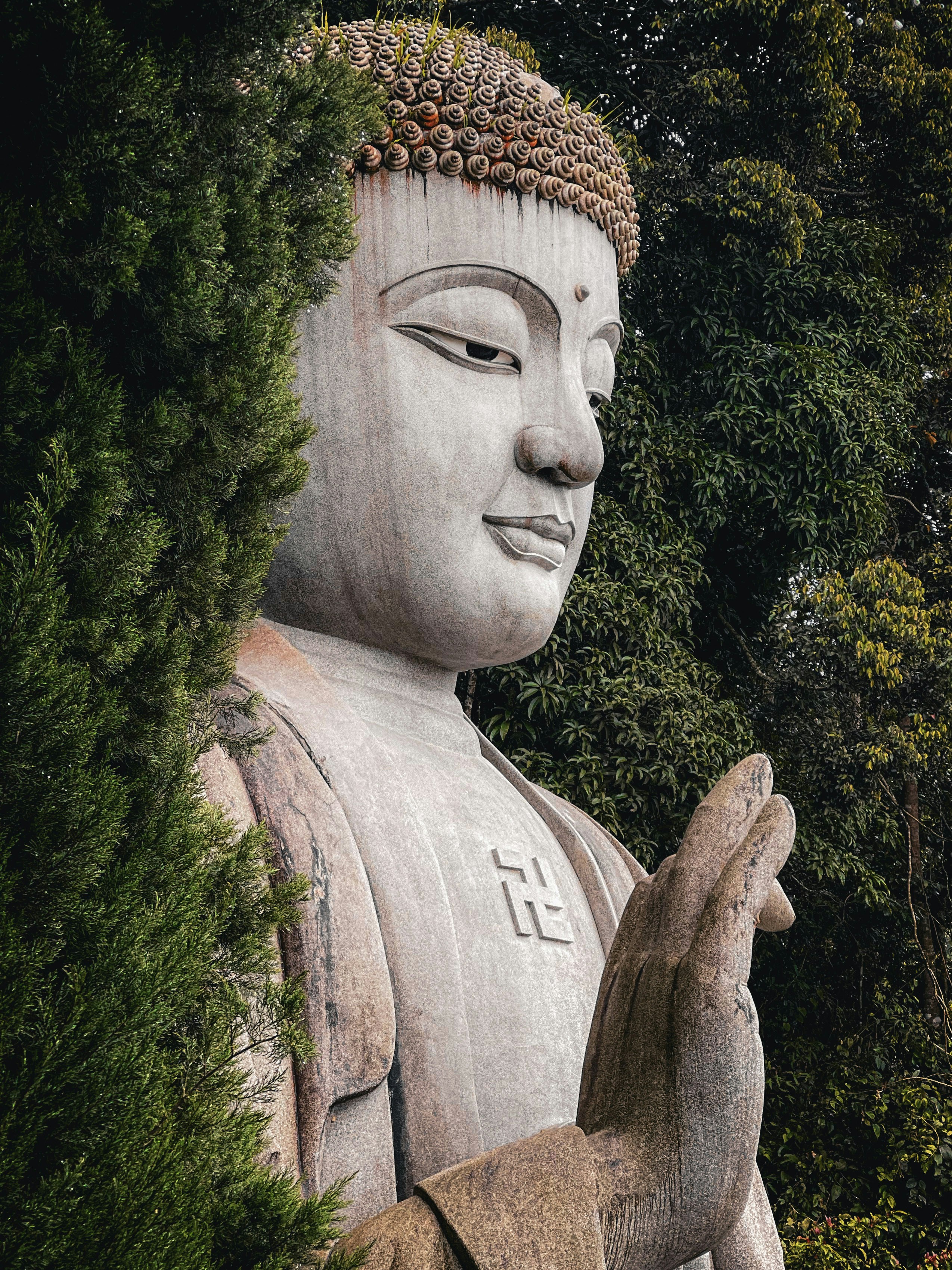 Serene Bodhisattva Emerges from Verdant Veil