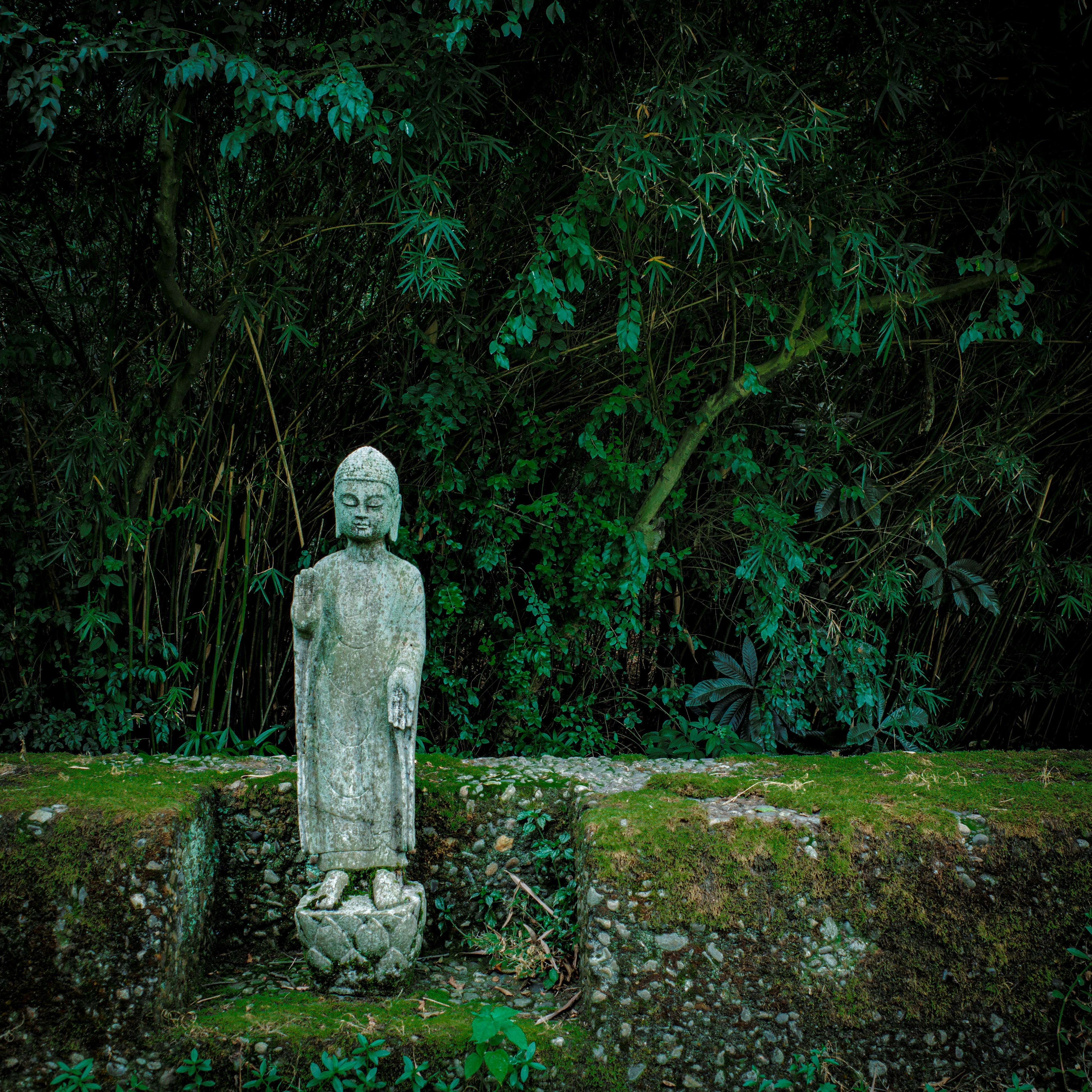 Stone Bodhisattva in Dappled Green Silence