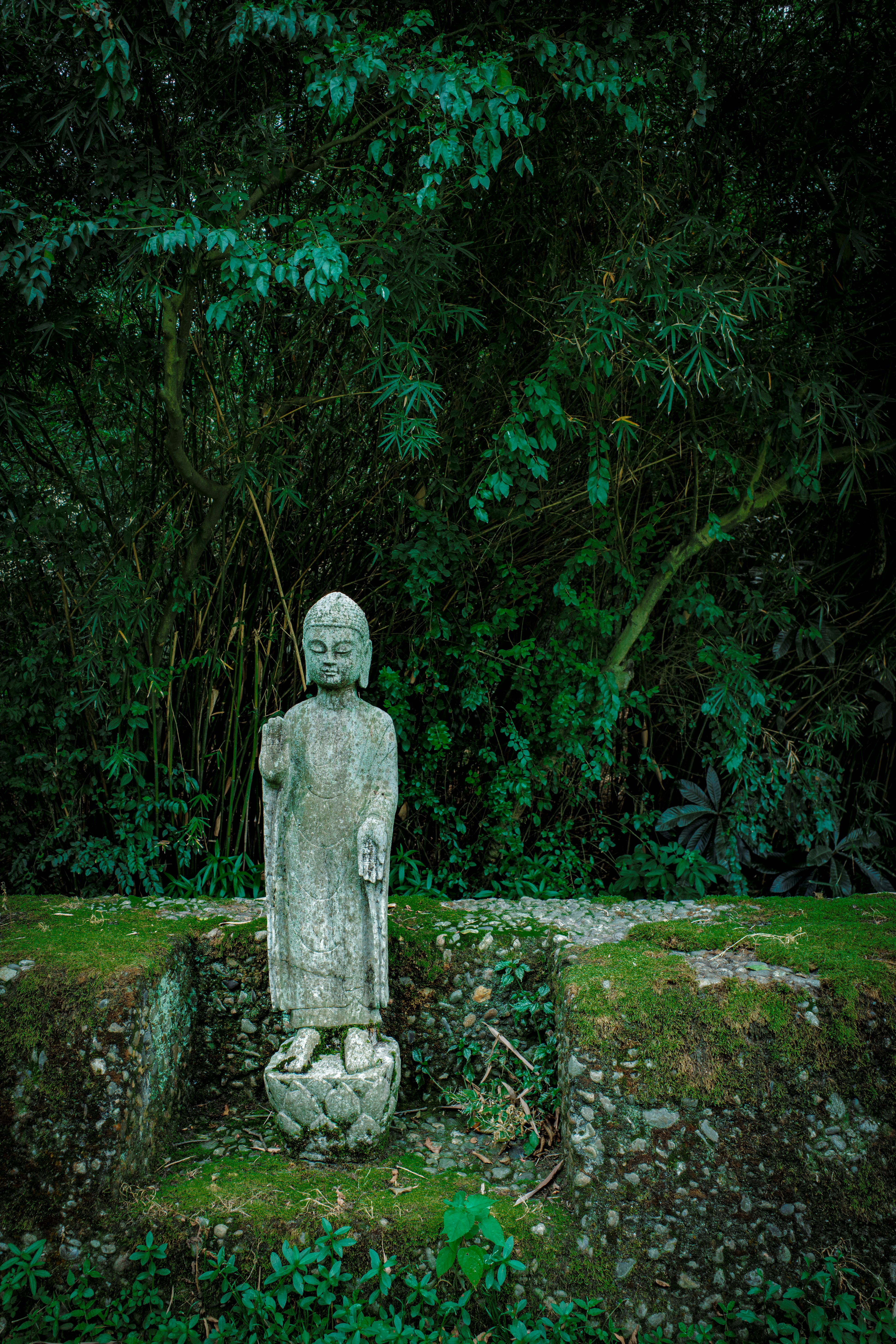 Stone Guardian Emerges from Green Veil