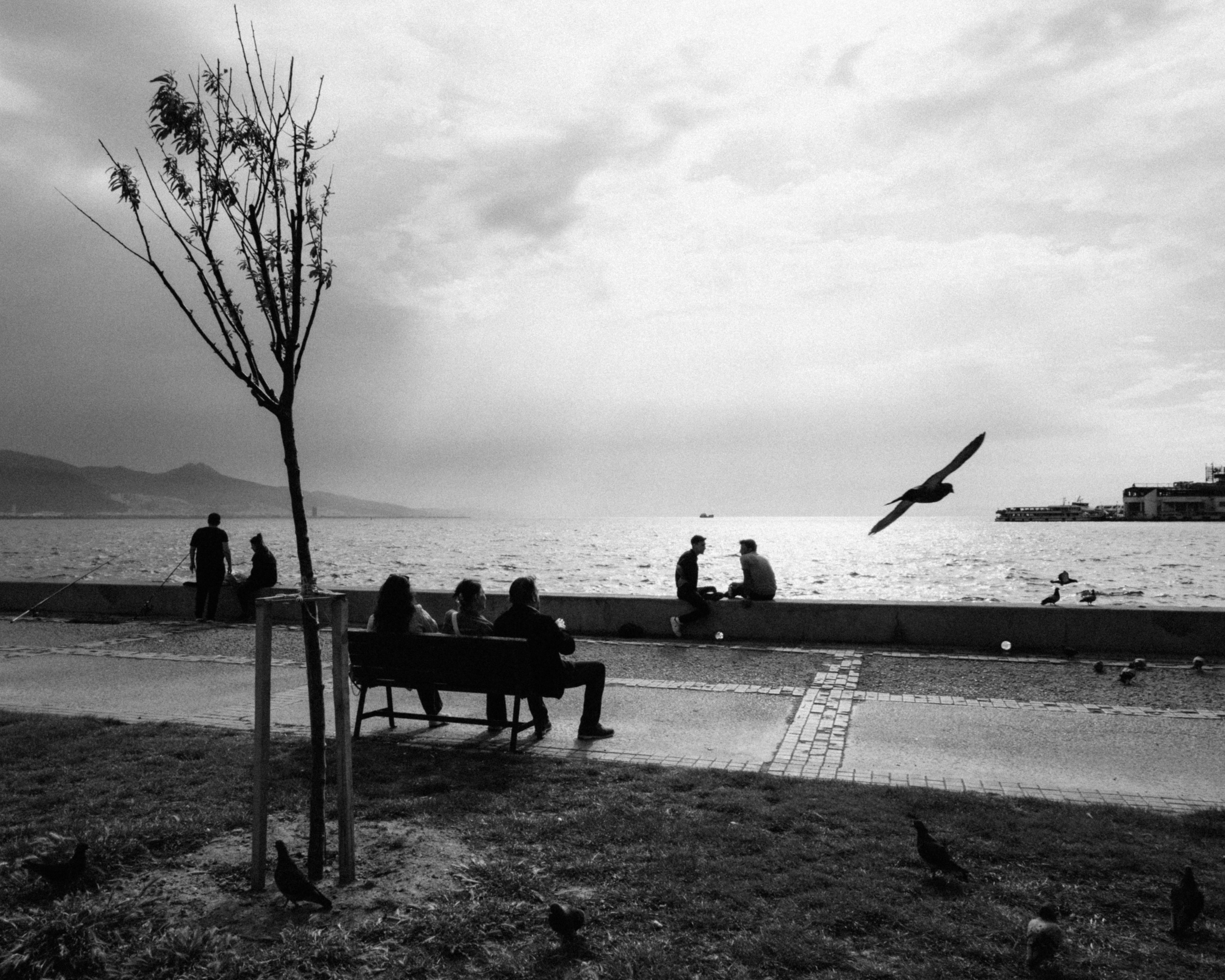 Seaside Bench at Dusk: Quiet Moments by the Pier