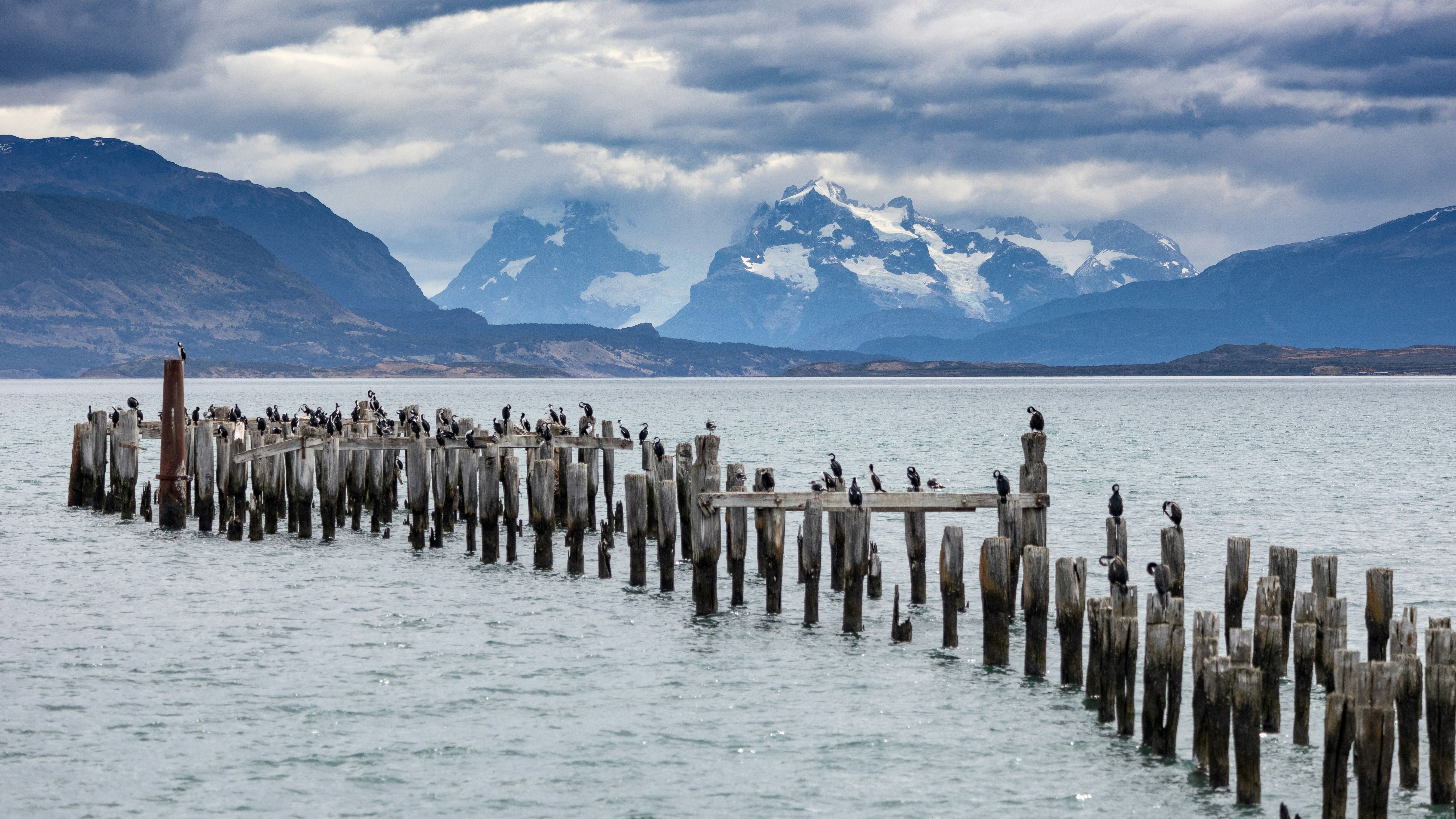 Line of Post Birds: A Quiet Perch Over a Glacial Sea