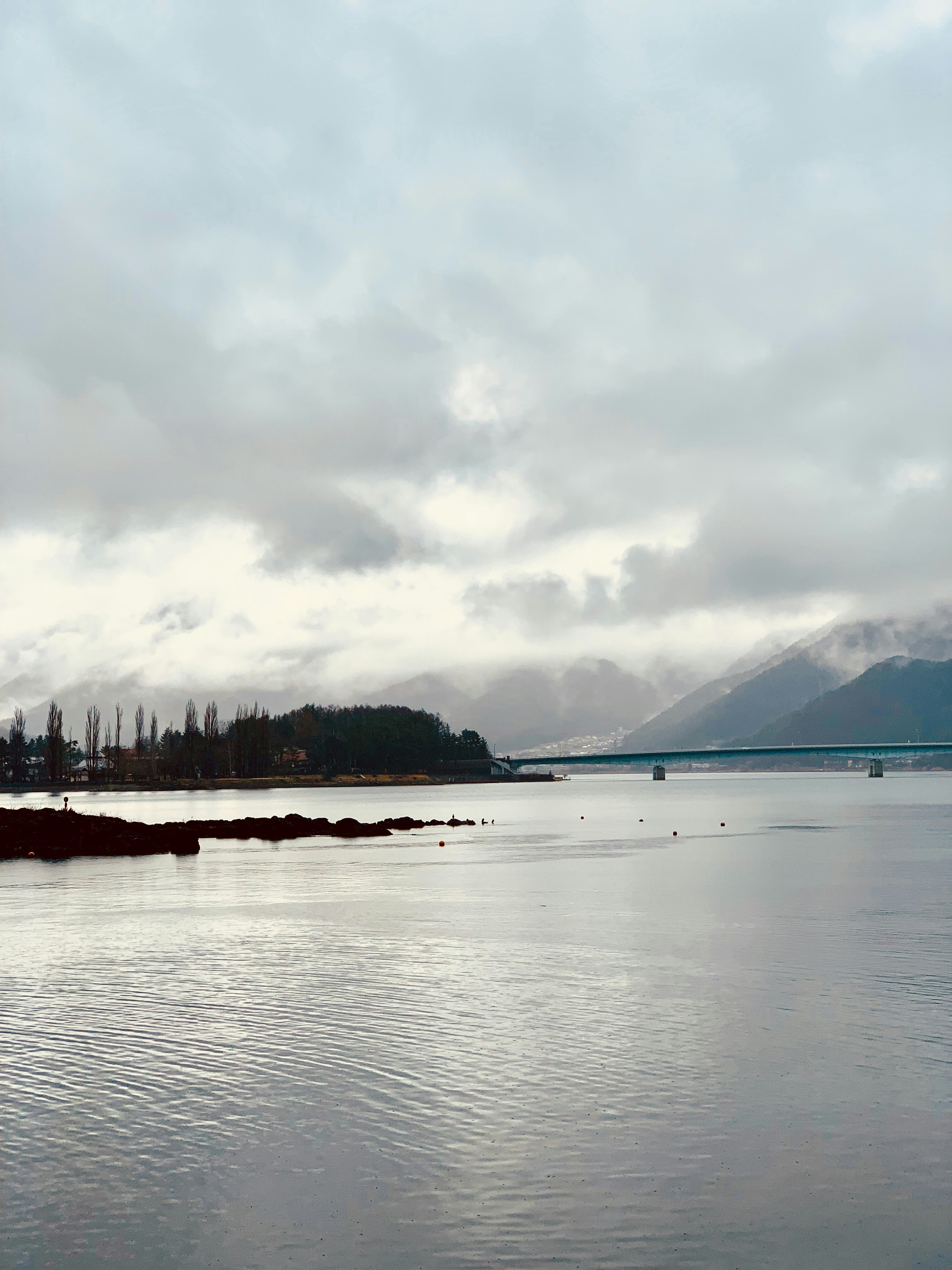 Calm Waterfront Under Clouded Sky with Distant Bridge