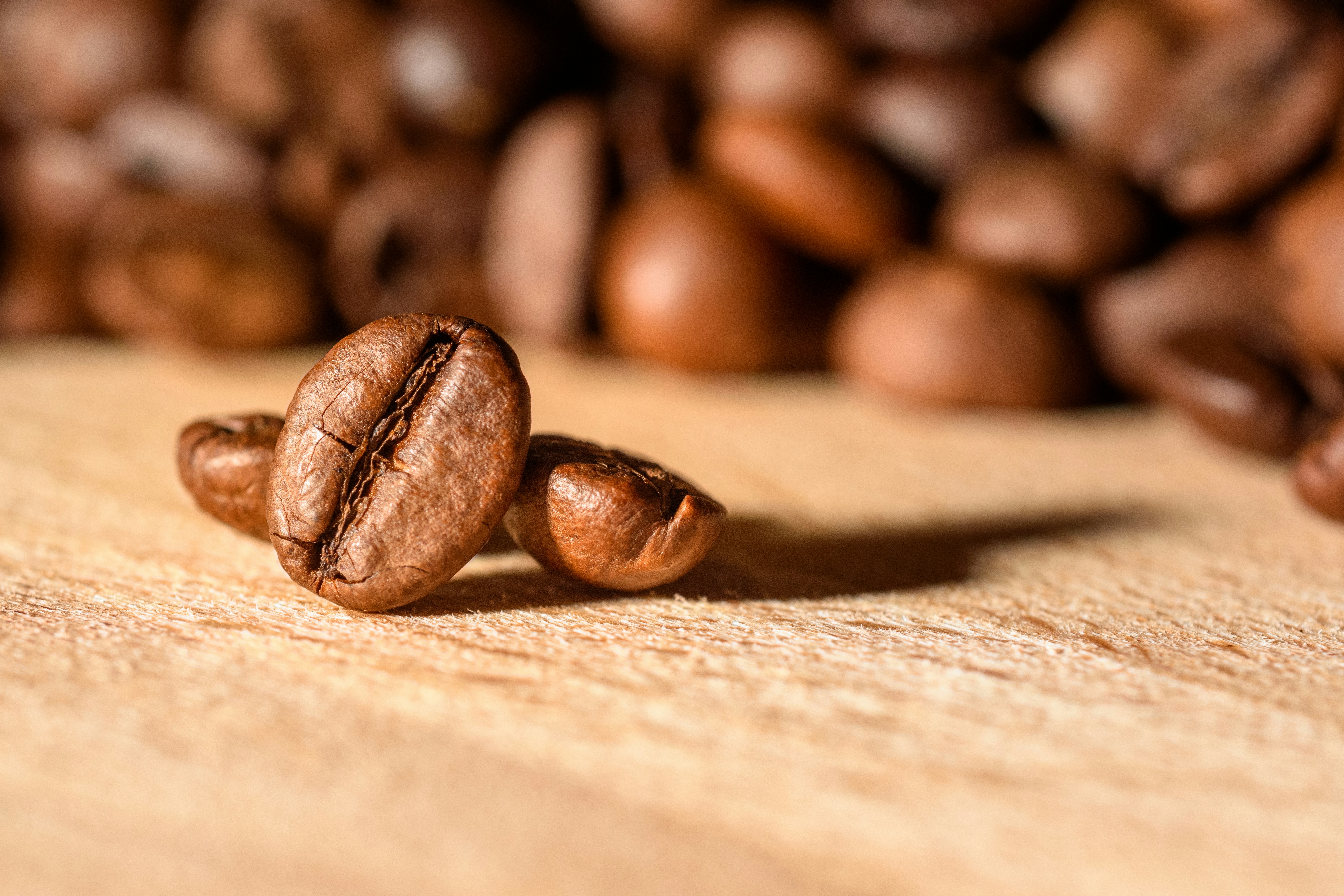 Two Coffee Beans Stand Sentinels on a Wooden Stage