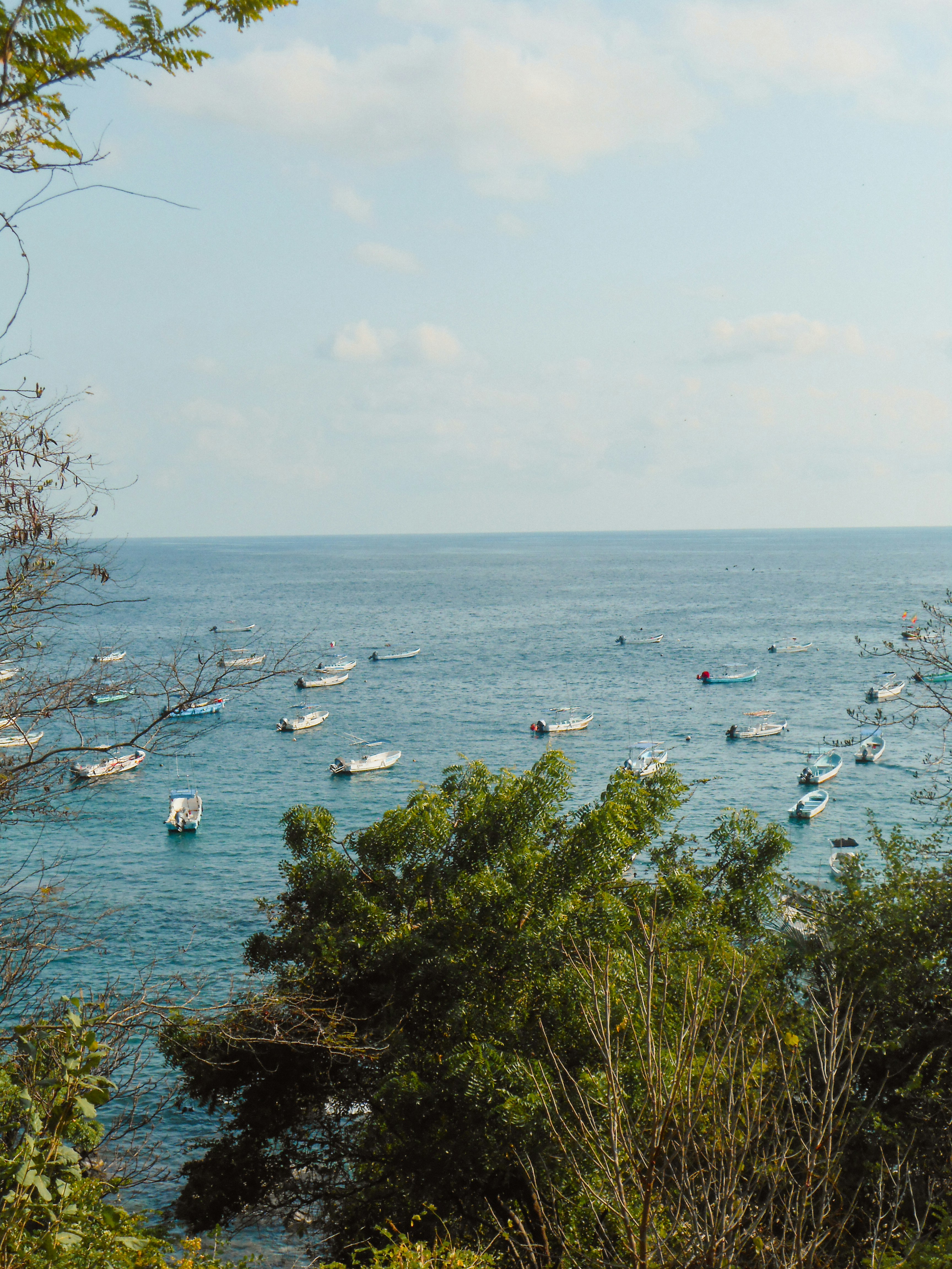 Boats Mist and Blue: A Quiet Coastal Arrival