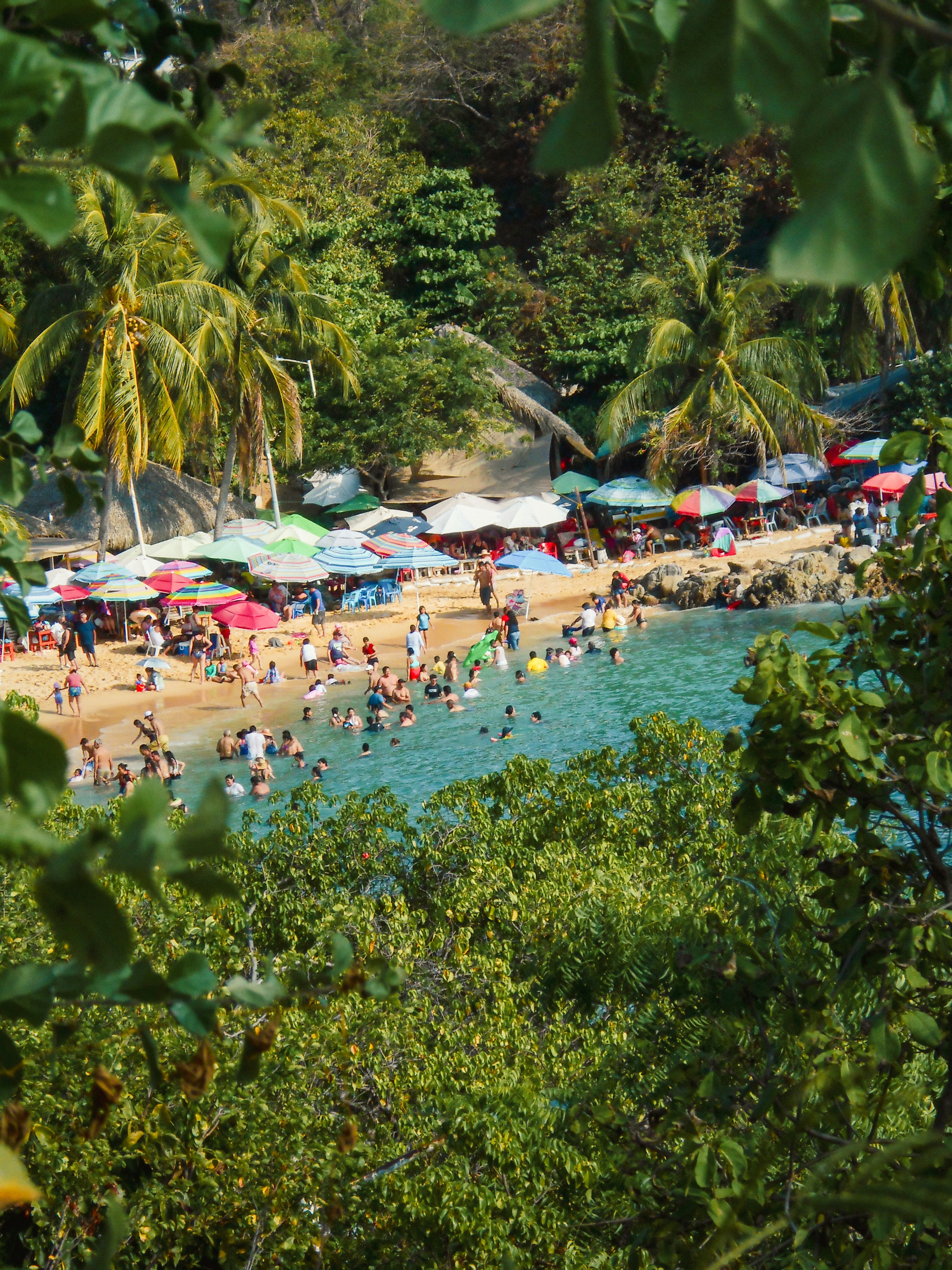 Sun-kissed beach grande: crowded shore framed by lush tropical greenery