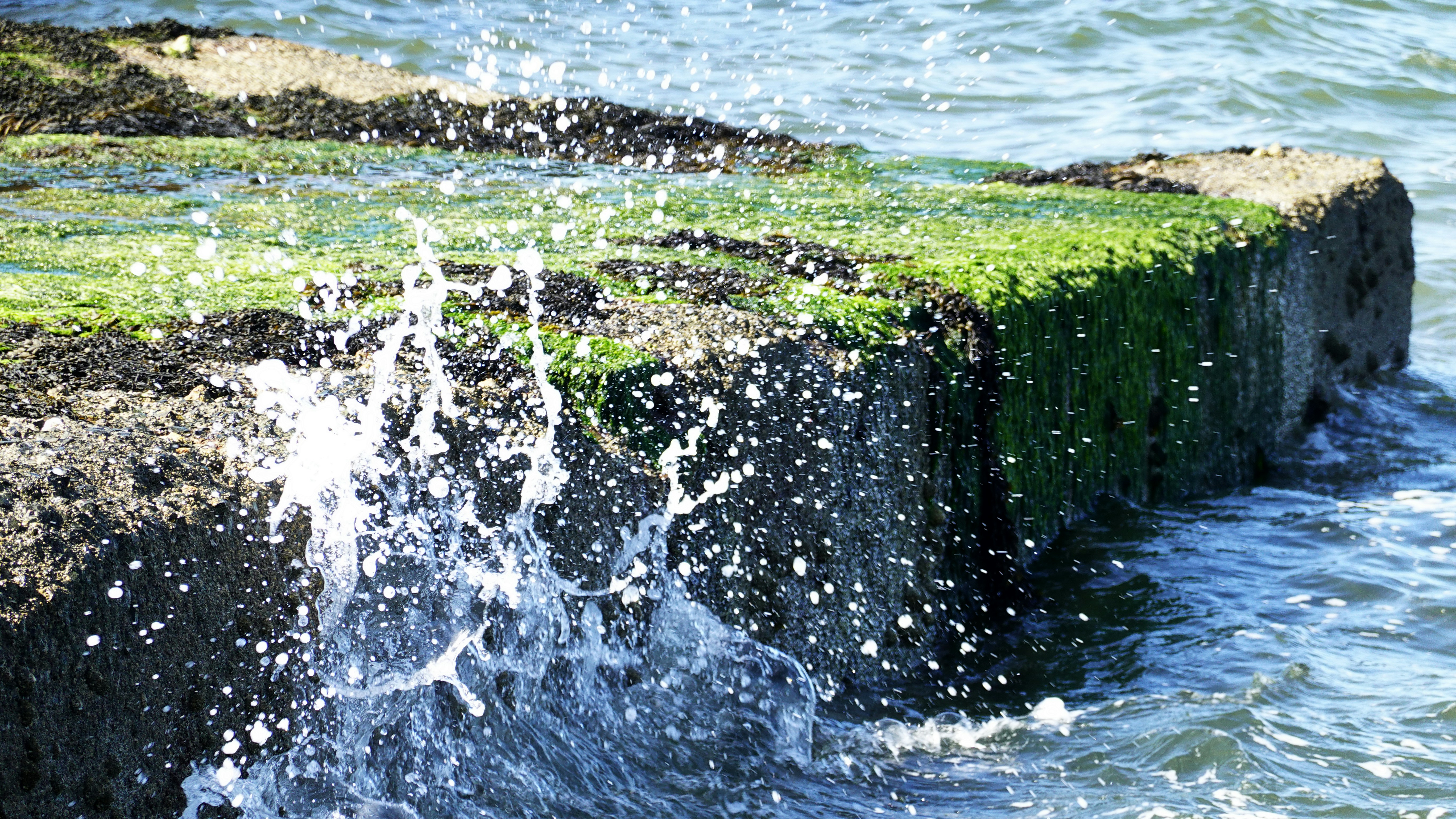 Green-topped Breakwater Meets Lapping Waves