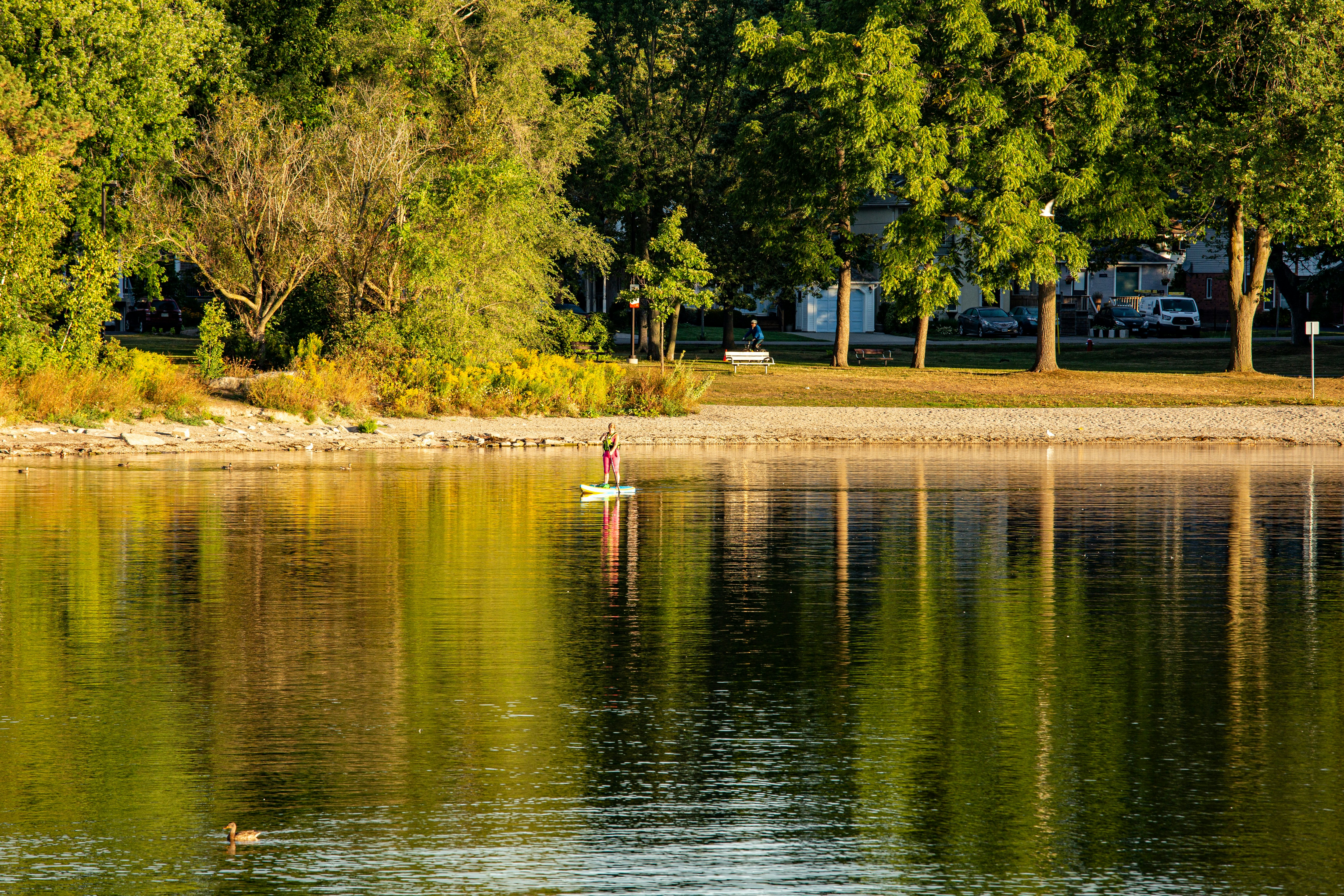 Edge of the Quiet Lake: A Solo Paddler in Warm Evening Light