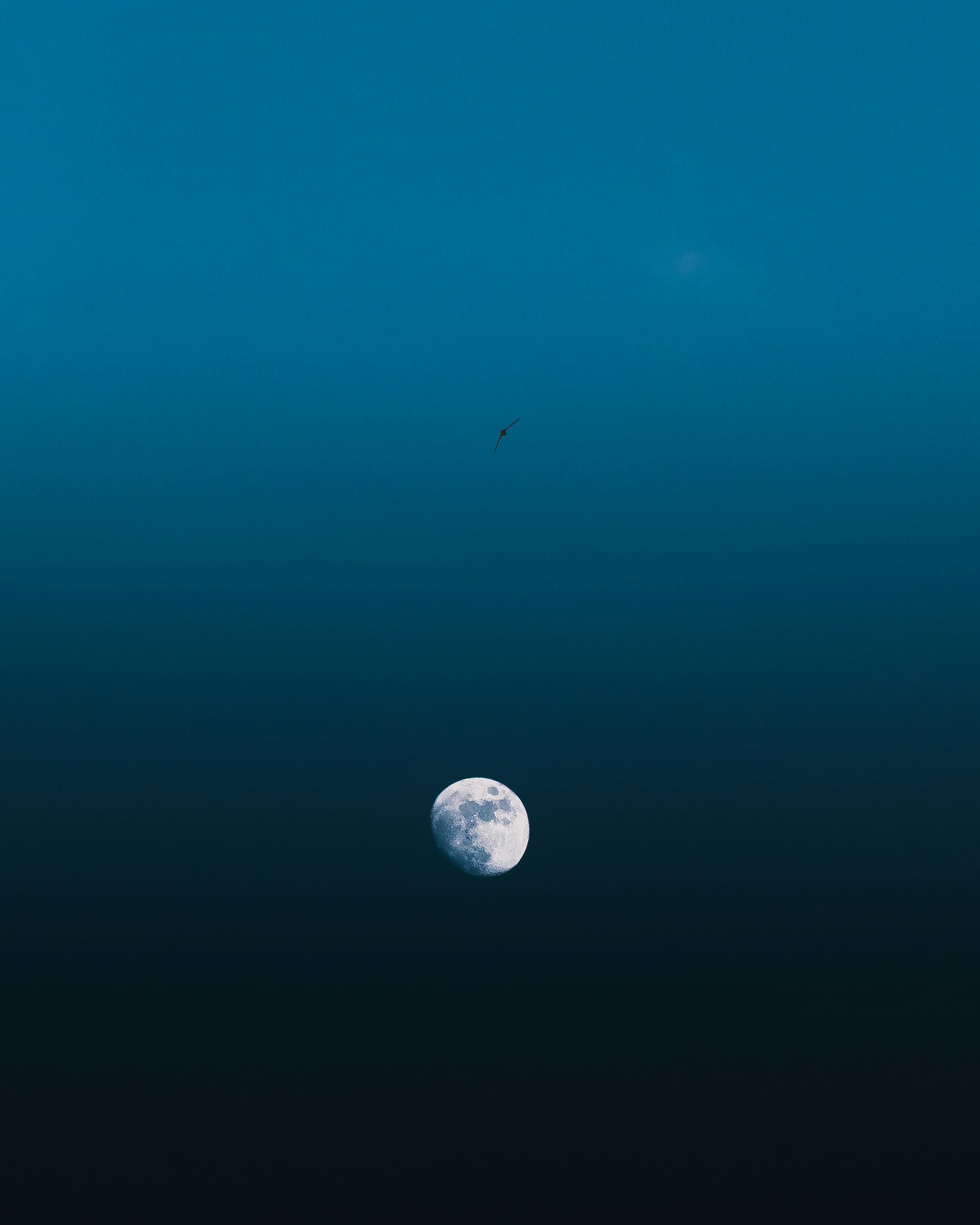 Moonlit Breeches: A solitary lunar gaze over a blue horizon