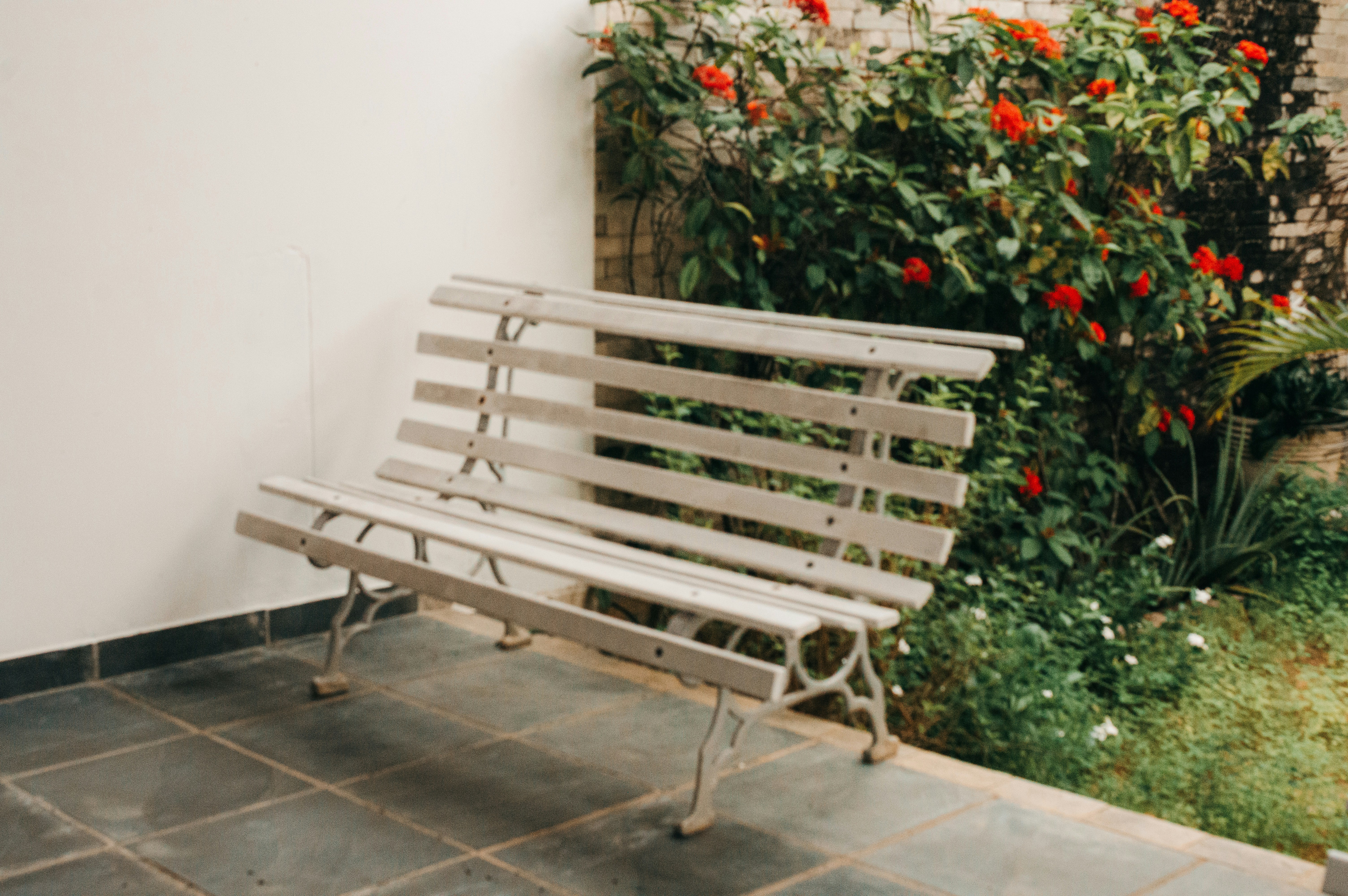 Weathered Bench in a Quiet Corner of a Floral Courtyard
