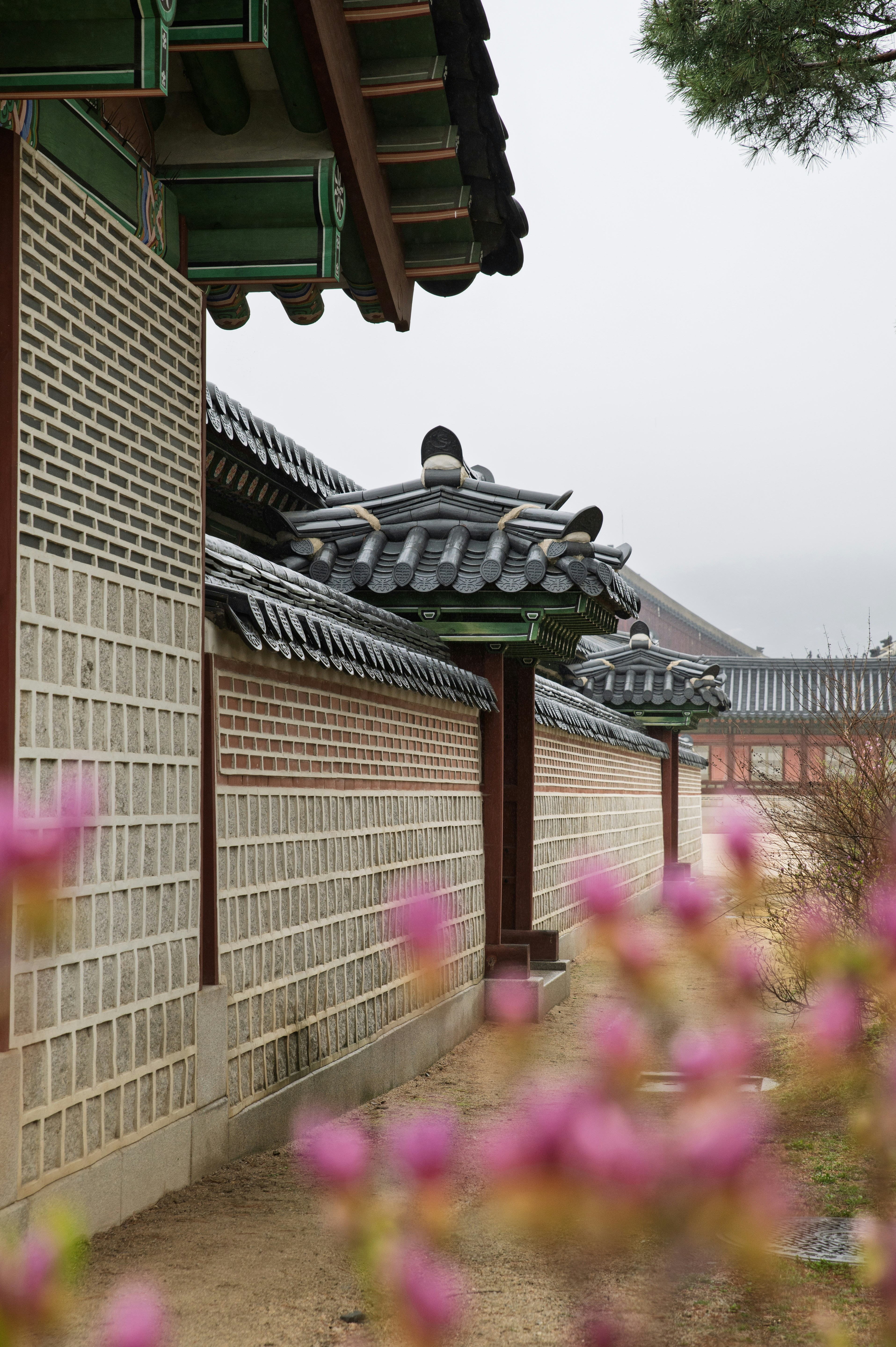 Temple Wall Perspective: Tessellated Tiles and Blurred Blossoms