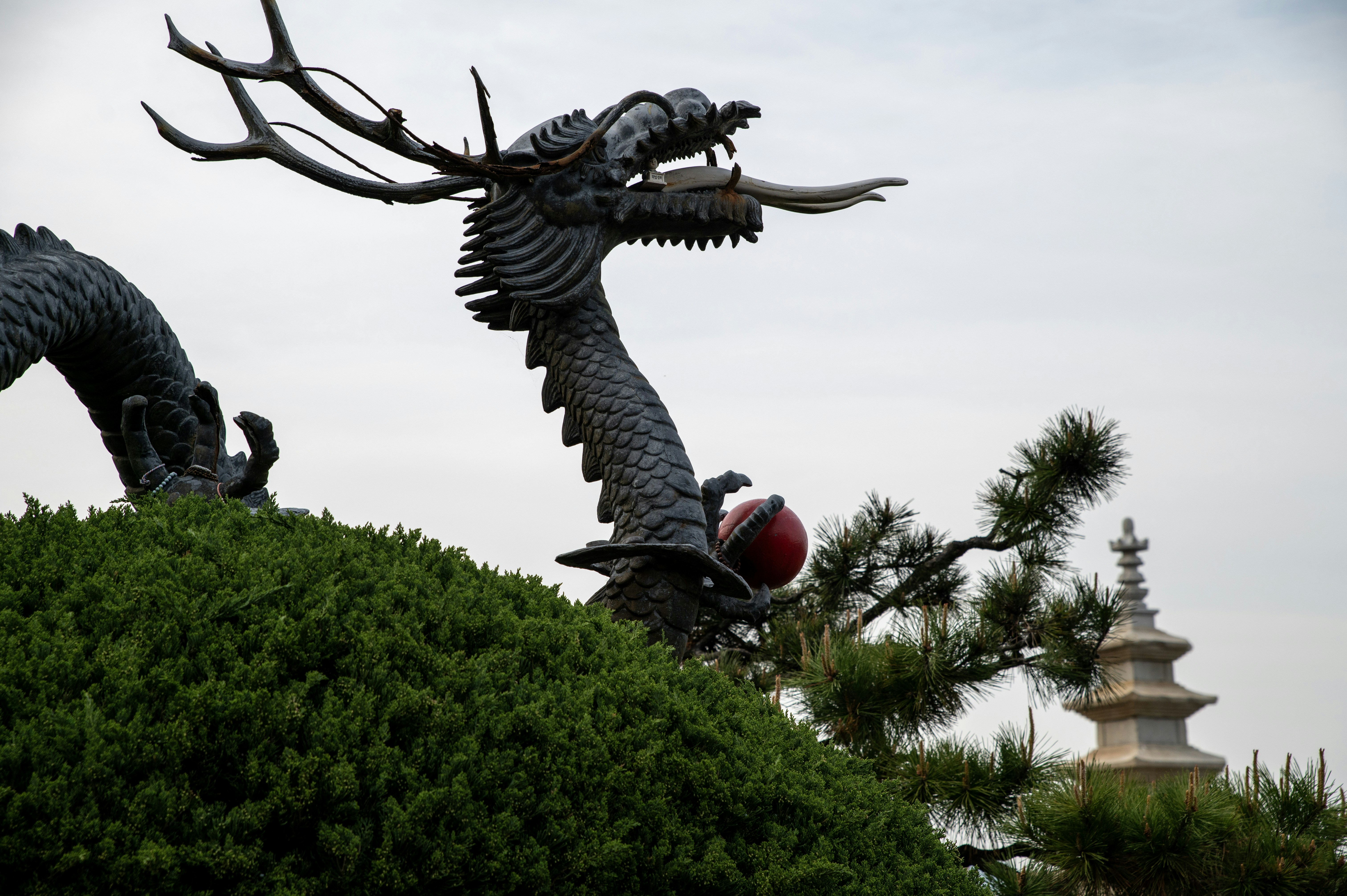 Dragon's Gaze Over The Garden Terrace