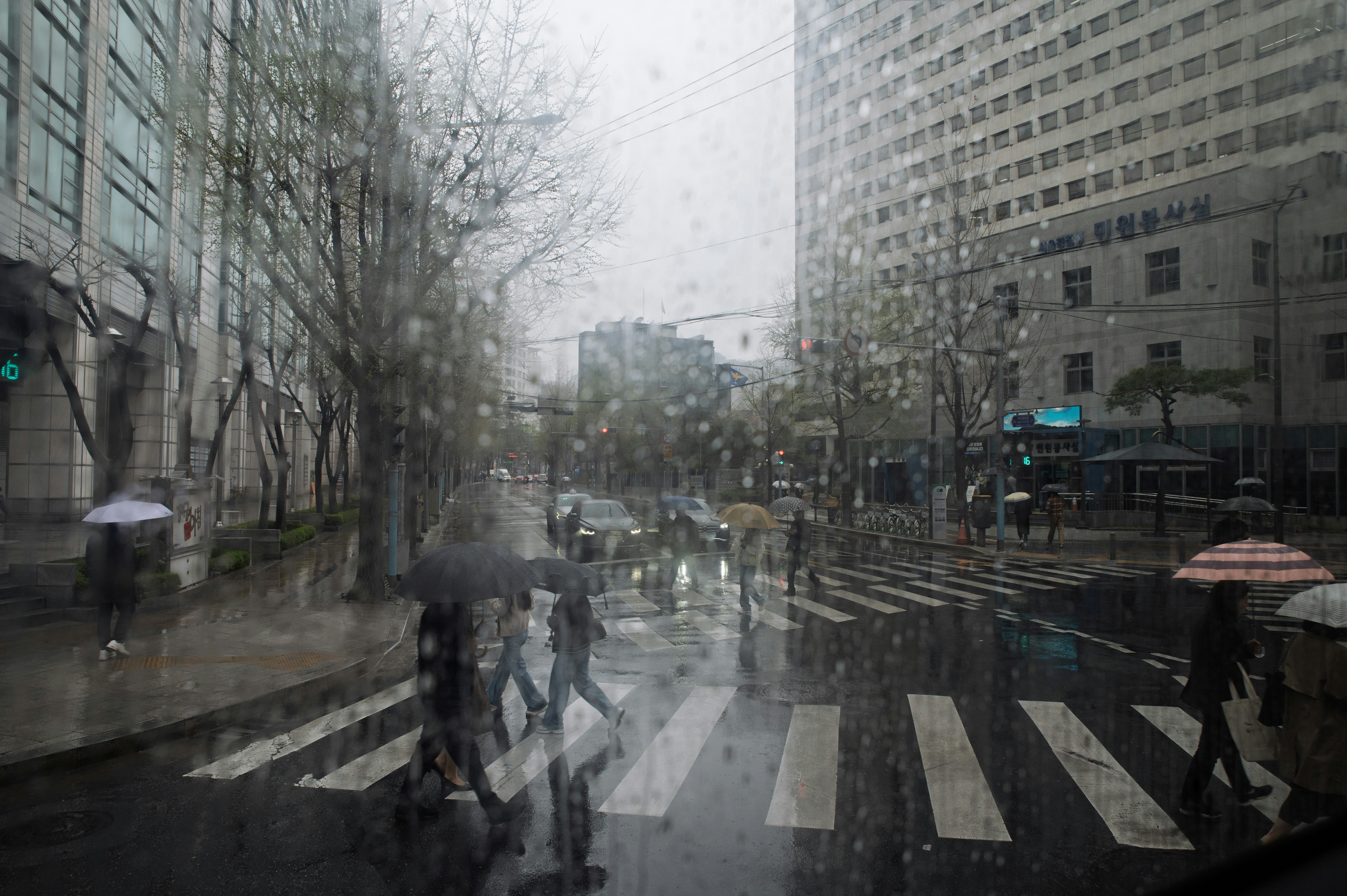 Rainy City Crosswalk: People, Umbrellas, and Neon in Blur