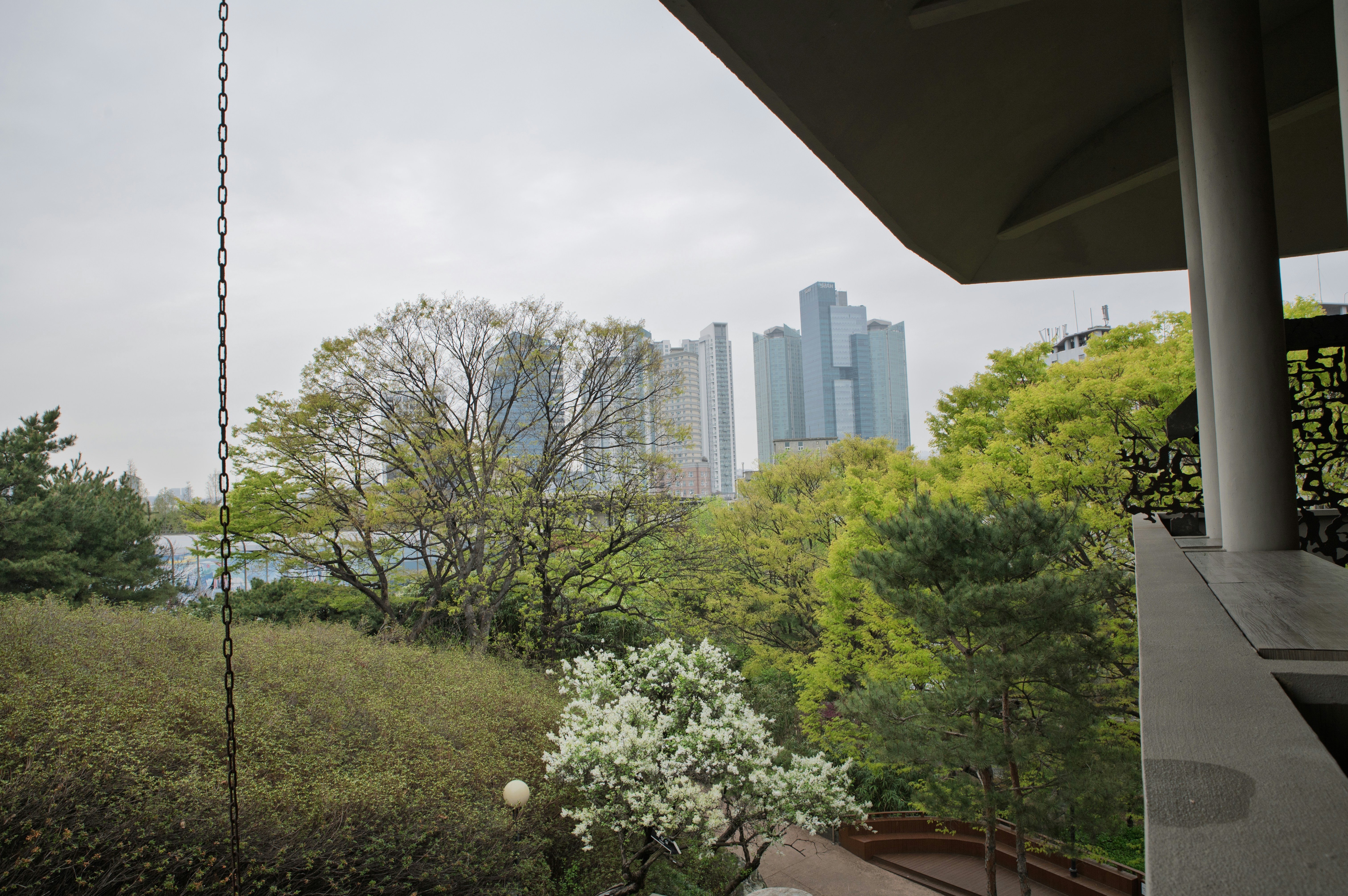 Urban Oasis Beyond the Balcony